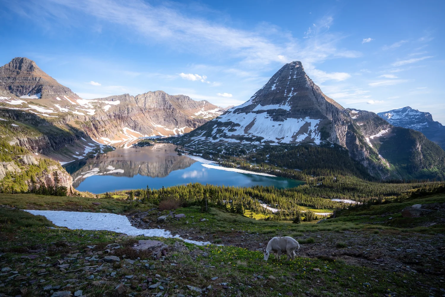 Hiking the Hidden Lake Trail in Glacier National Park — noahawaii