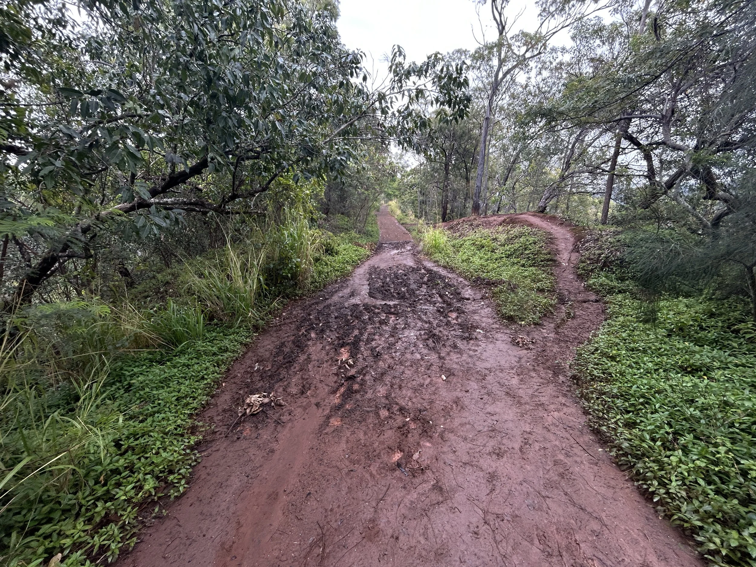 Hiking the Waimano Falls Trail on Oʻahu — noahawaii