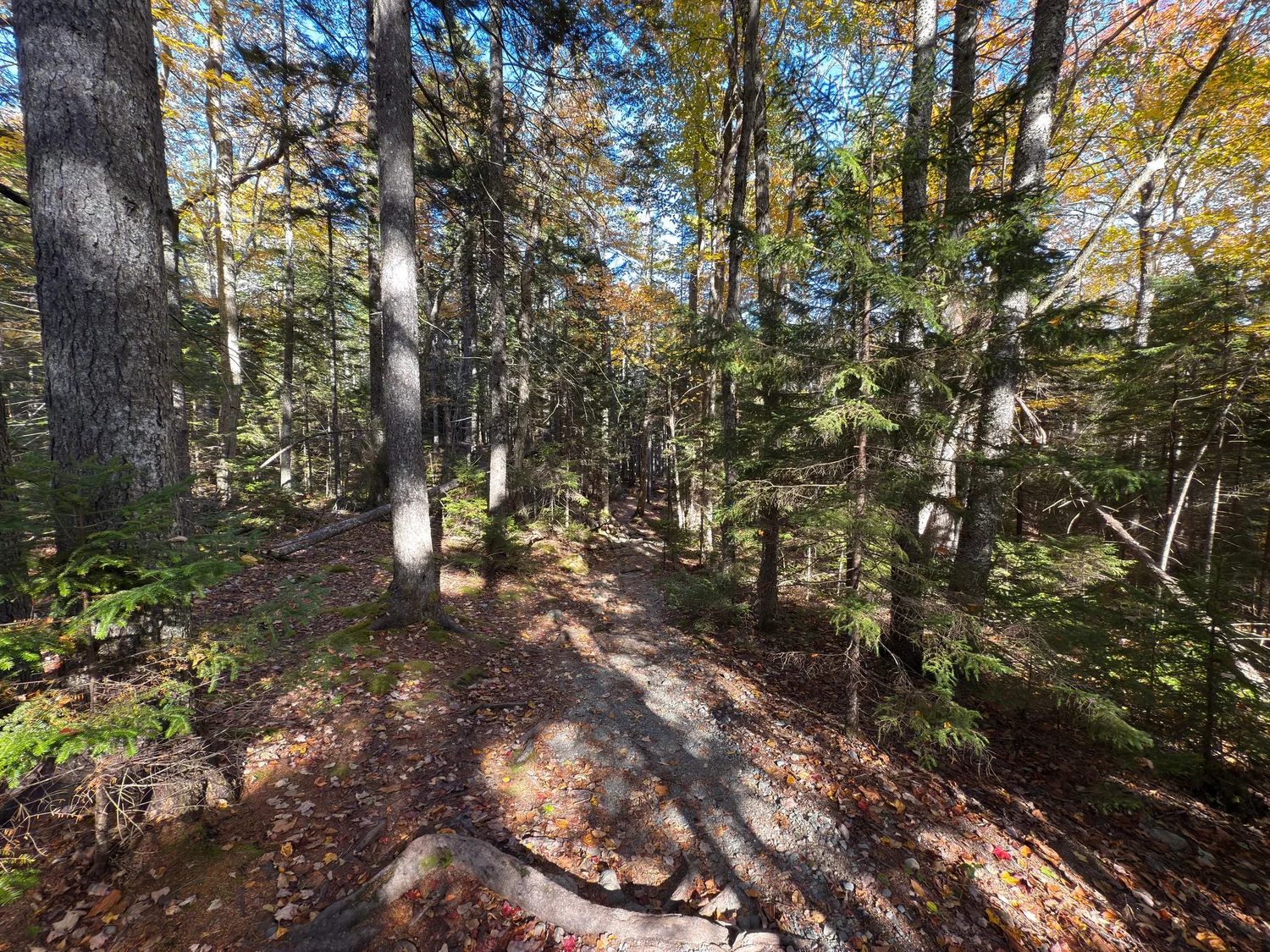 Hiking the Hadlock Ponds Loop Trail in Acadia National Park — noahawaii