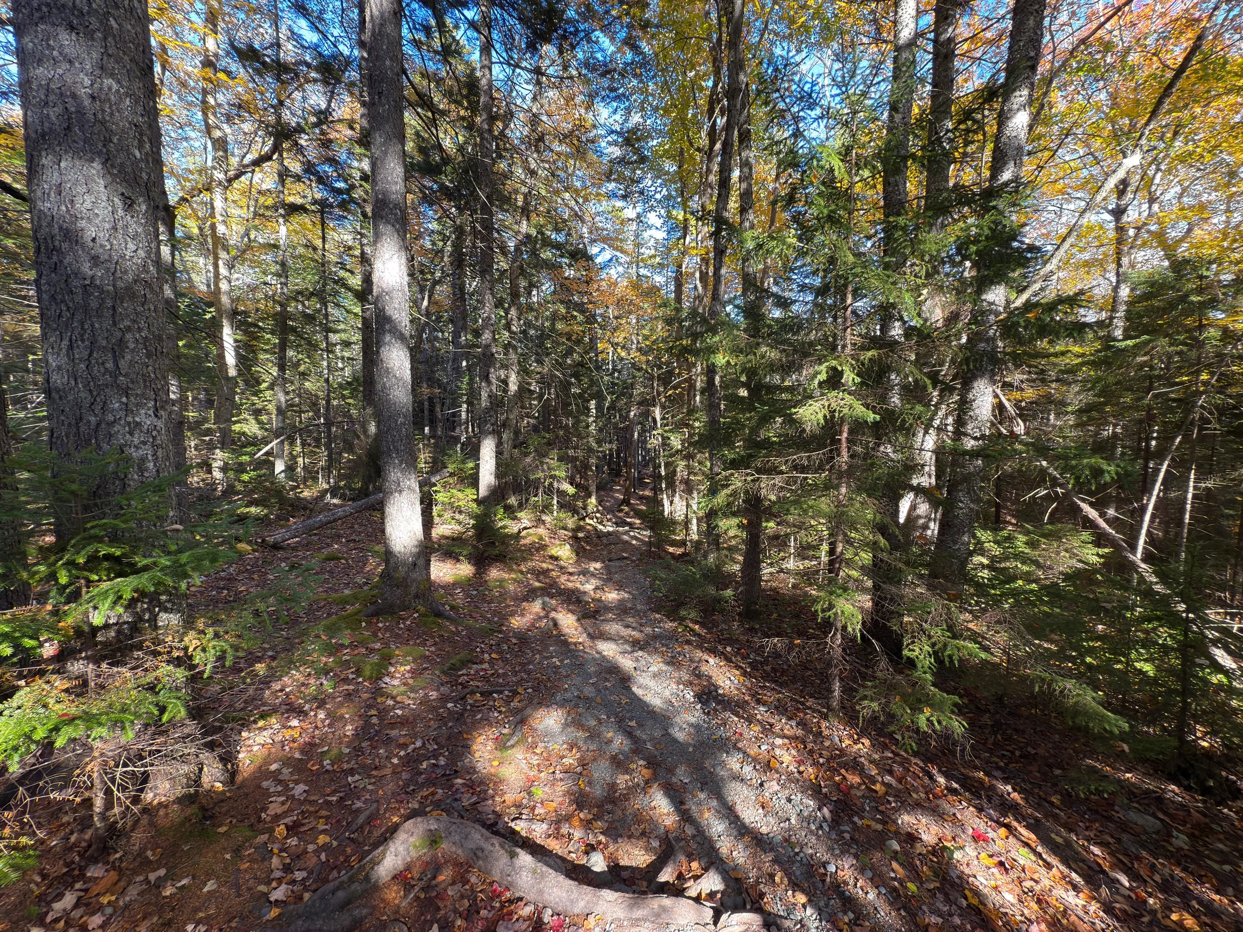 Hiking the Hadlock Ponds Loop Trail in Acadia National Park — noahawaii