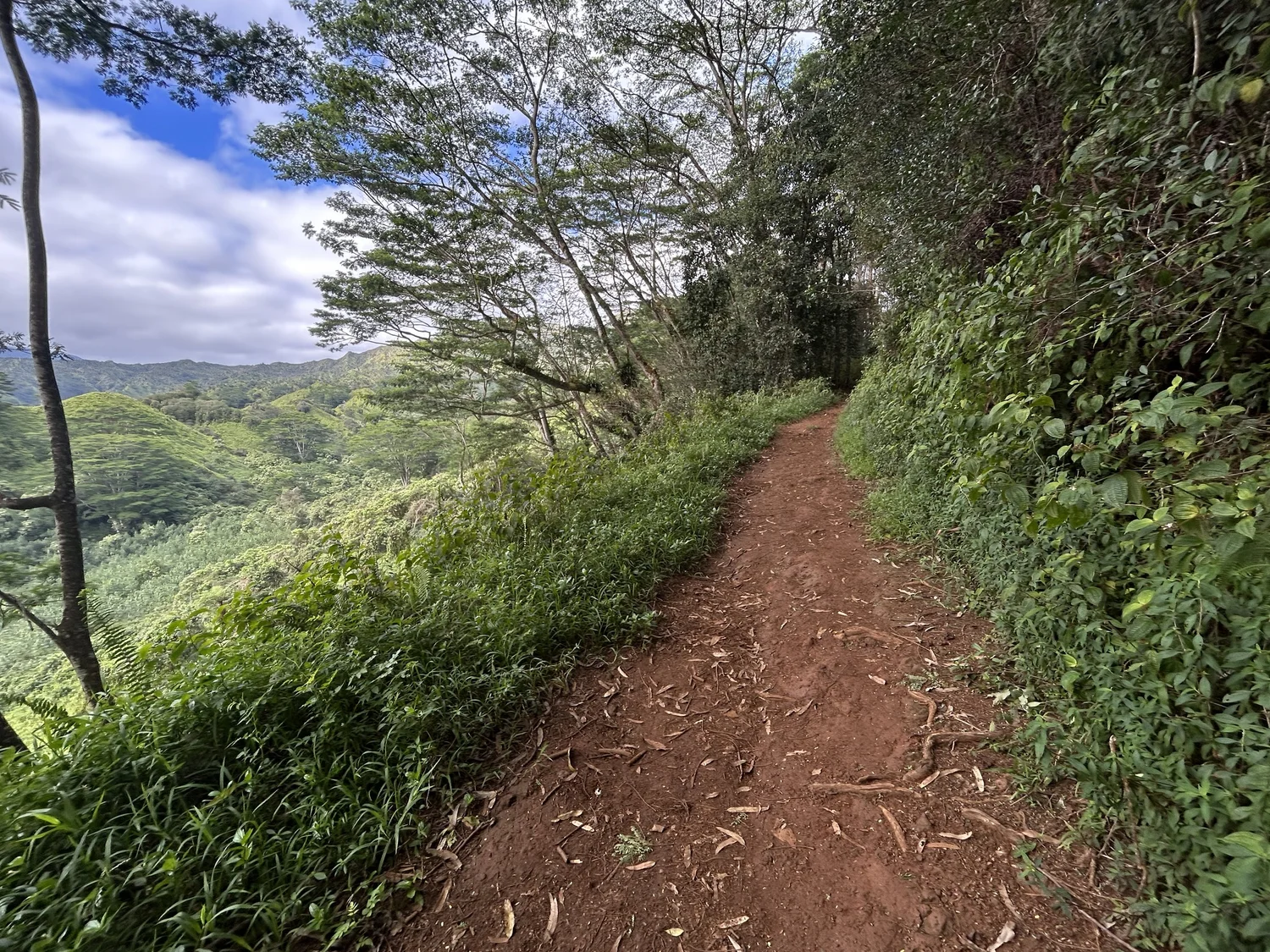 Hiking the Kuilau Ridge Trail on Kauaʻi, Hawaiʻi — noahawaii