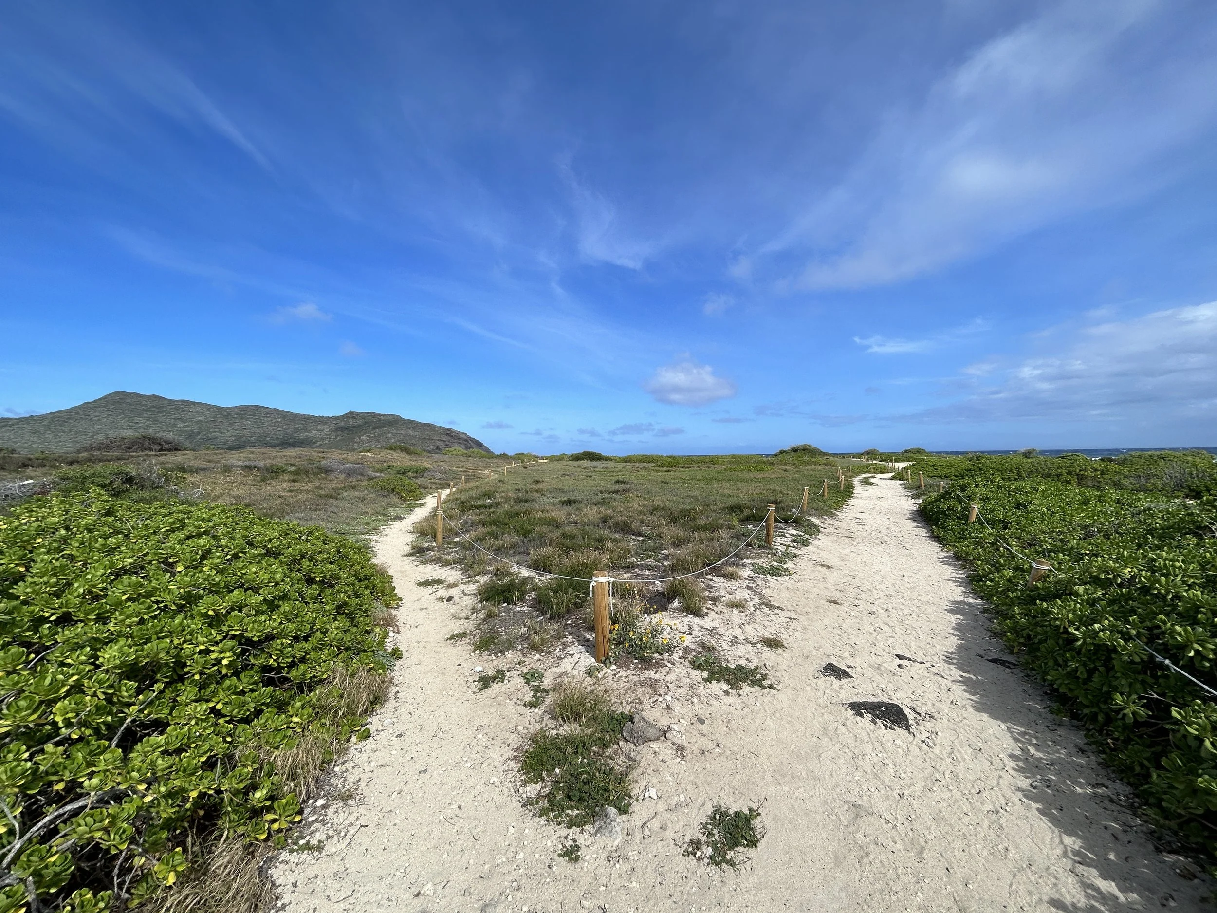 Hiking the Kaiwi Shoreline Trail on Oʻahu — noahawaii