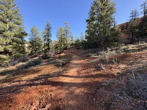 Hiking the Pink Ledges-Birdseye-Photo Loop Trail in Red Canyon, Utah ...