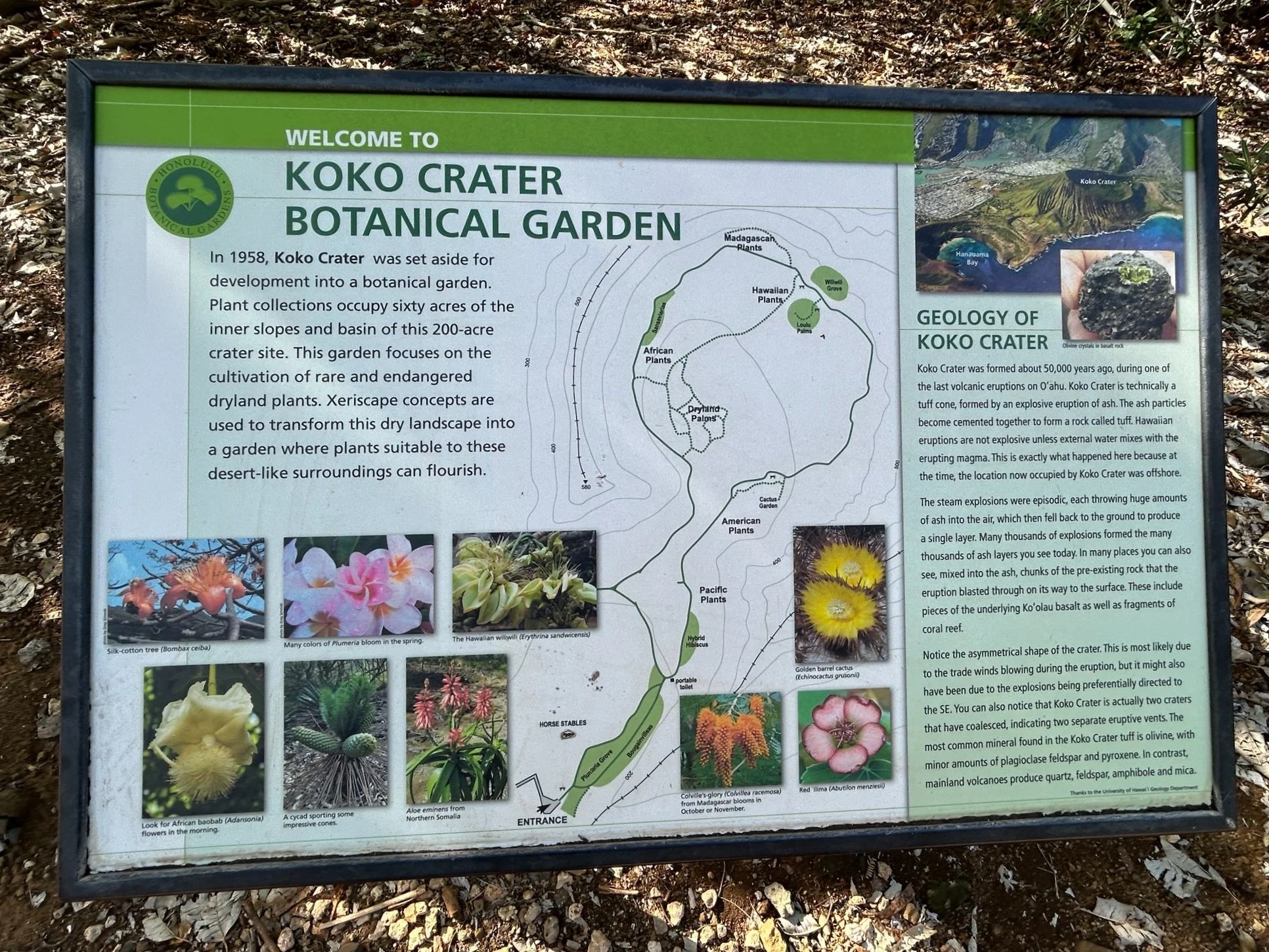 Hiking the Koko Crater Botanical Garden Loop Trail on Oʻahu — noahawaii