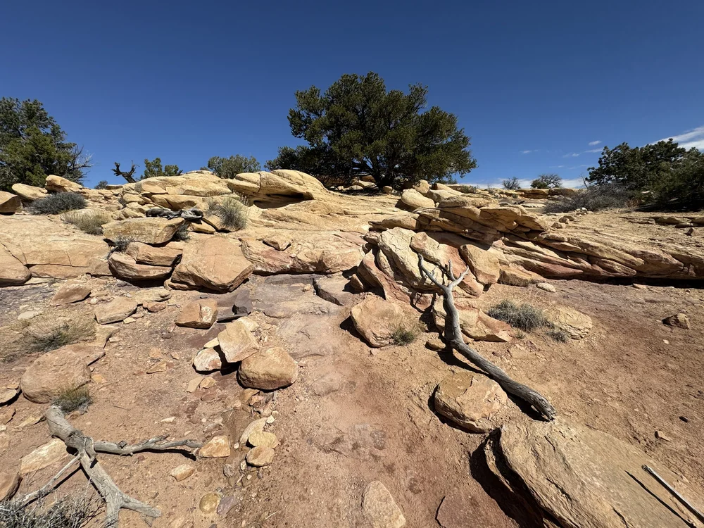 Hiking the Slickrock Trail in Canyonlands National Park — noahawaii