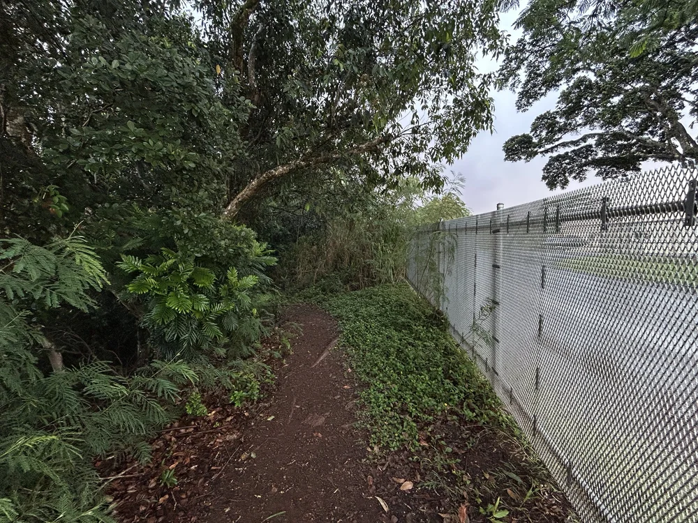 Hiking the Waimano Ridge Trail on Oʻahu — noahawaii