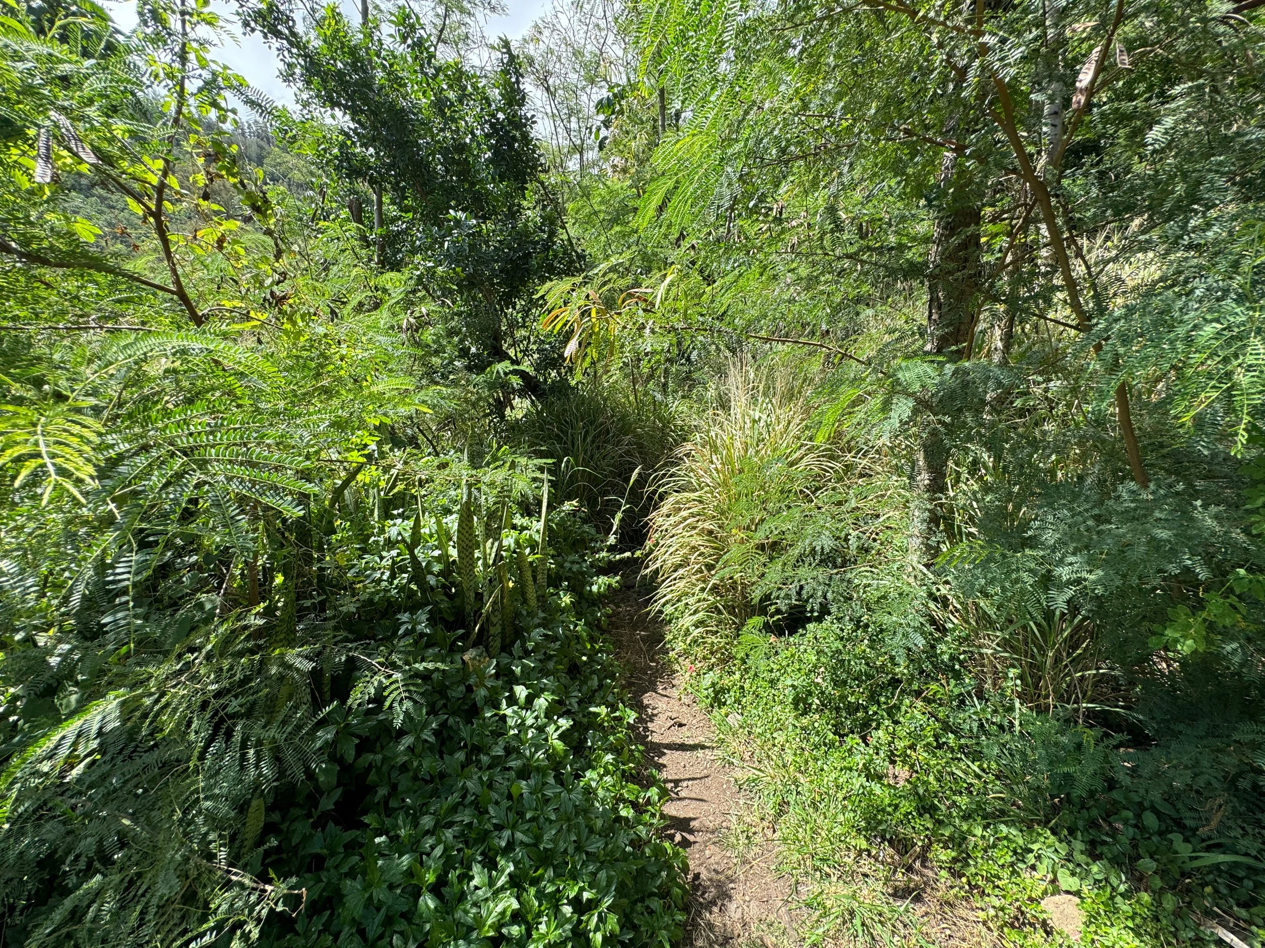 Hiking the Pyramid Rock Loop Trail on Oʻahu, Hawaiʻi — noahawaii