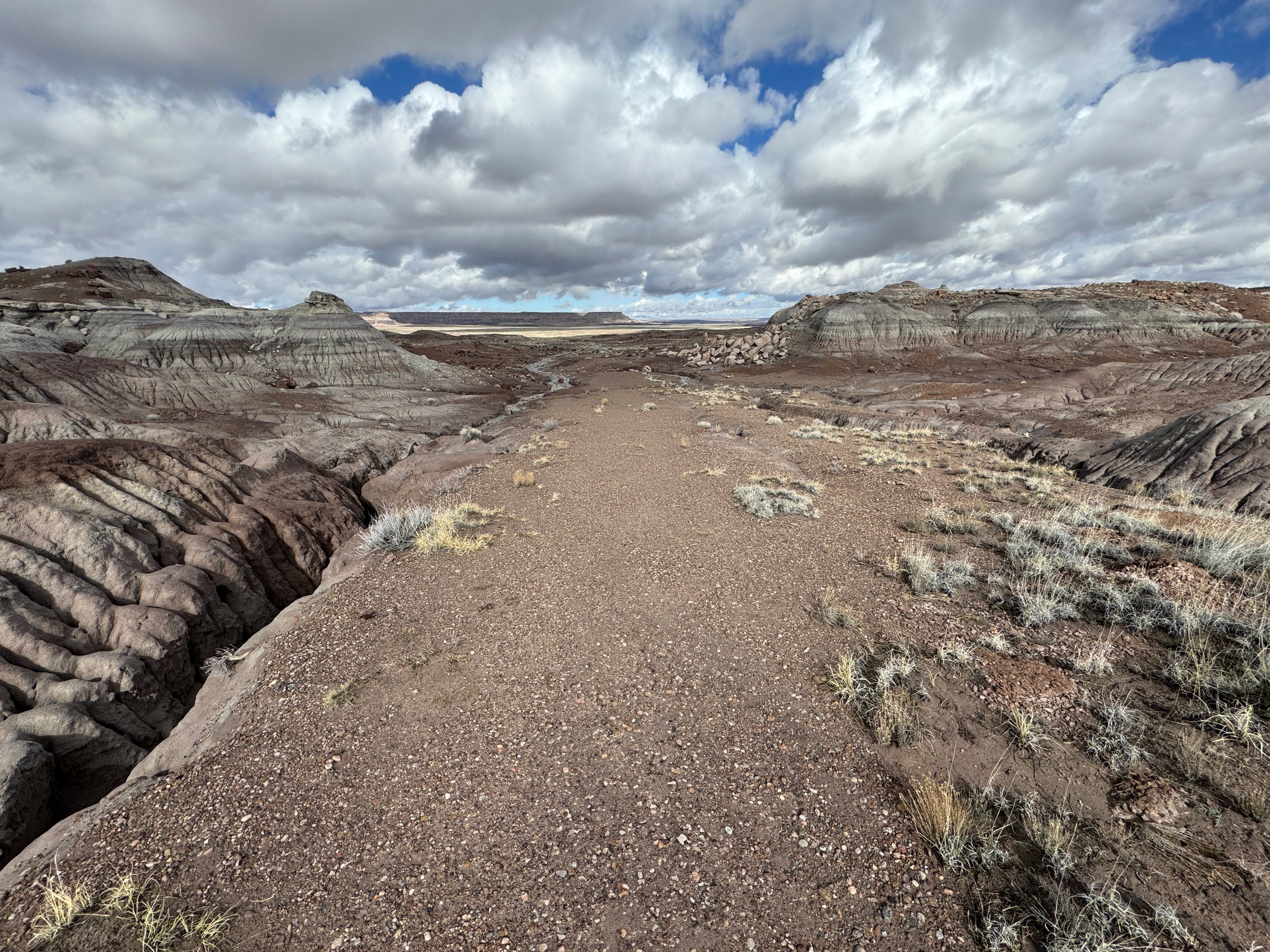 Hiking the Jasper Forest Trail in Petrified Forest National Park ...
