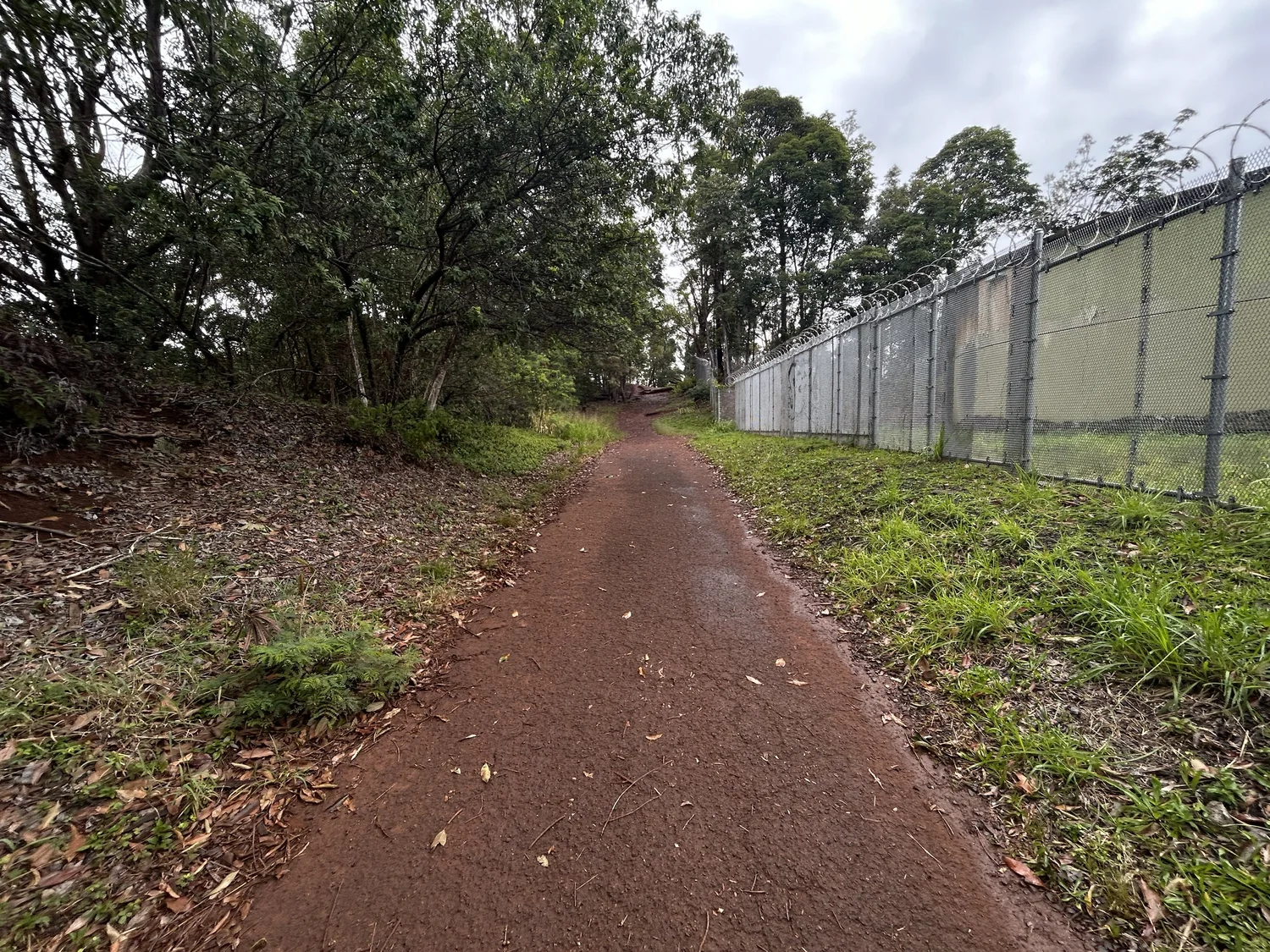 Hiking the Waimano Falls Trail on Oʻahu, Hawaiʻi — noahawaii