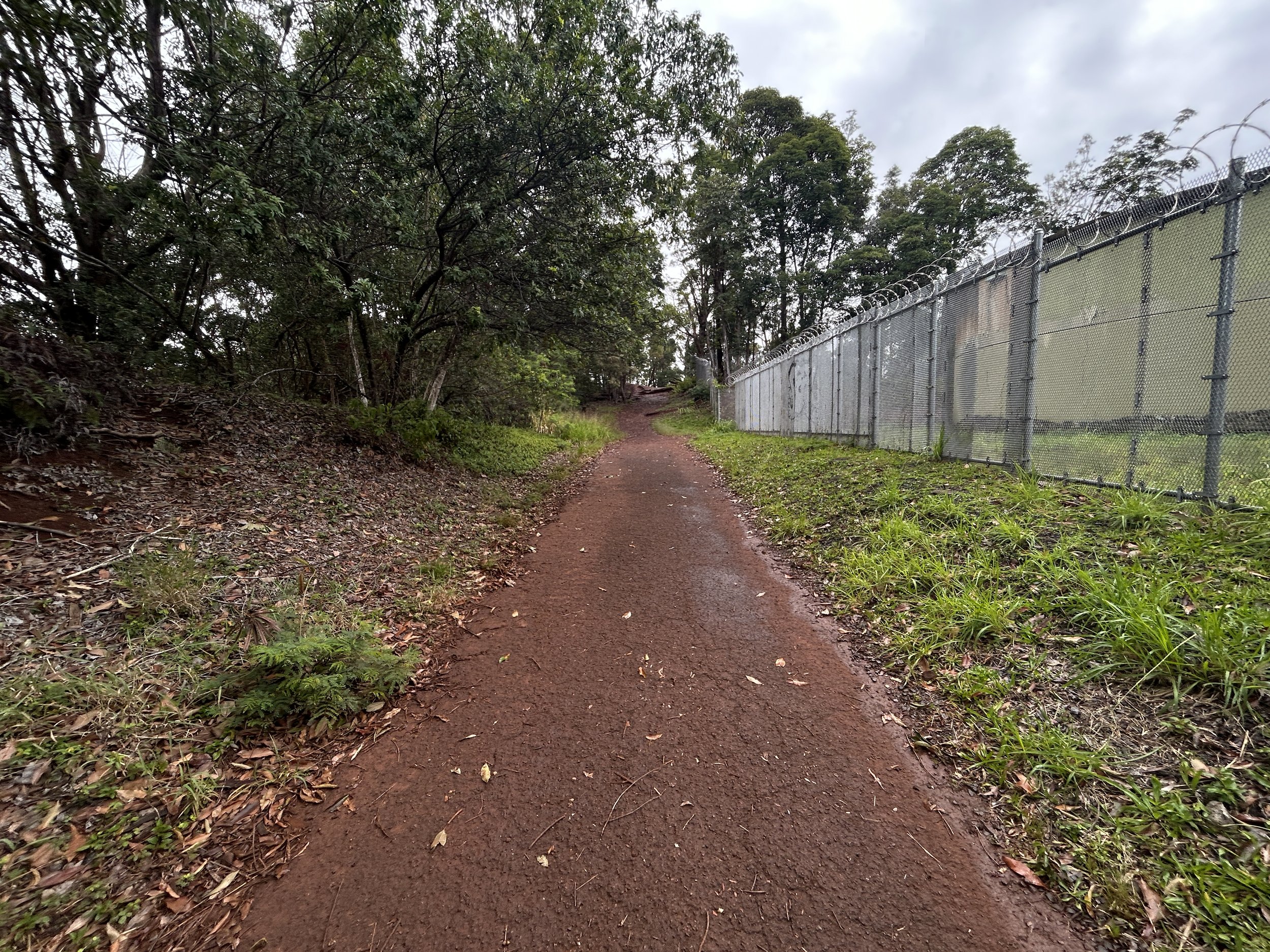 Hiking the Waimano Falls Trail on Oʻahu, Hawaiʻi — noahawaii