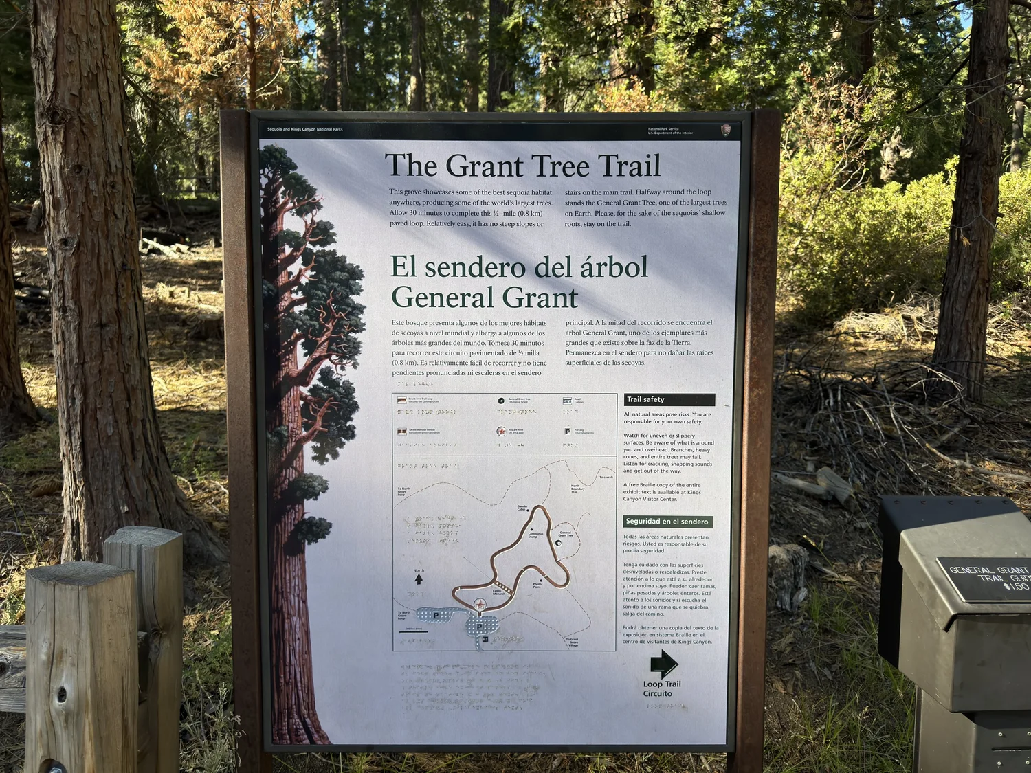 Hiking the General Grant Tree Trail in Kings Canyon National Park ...