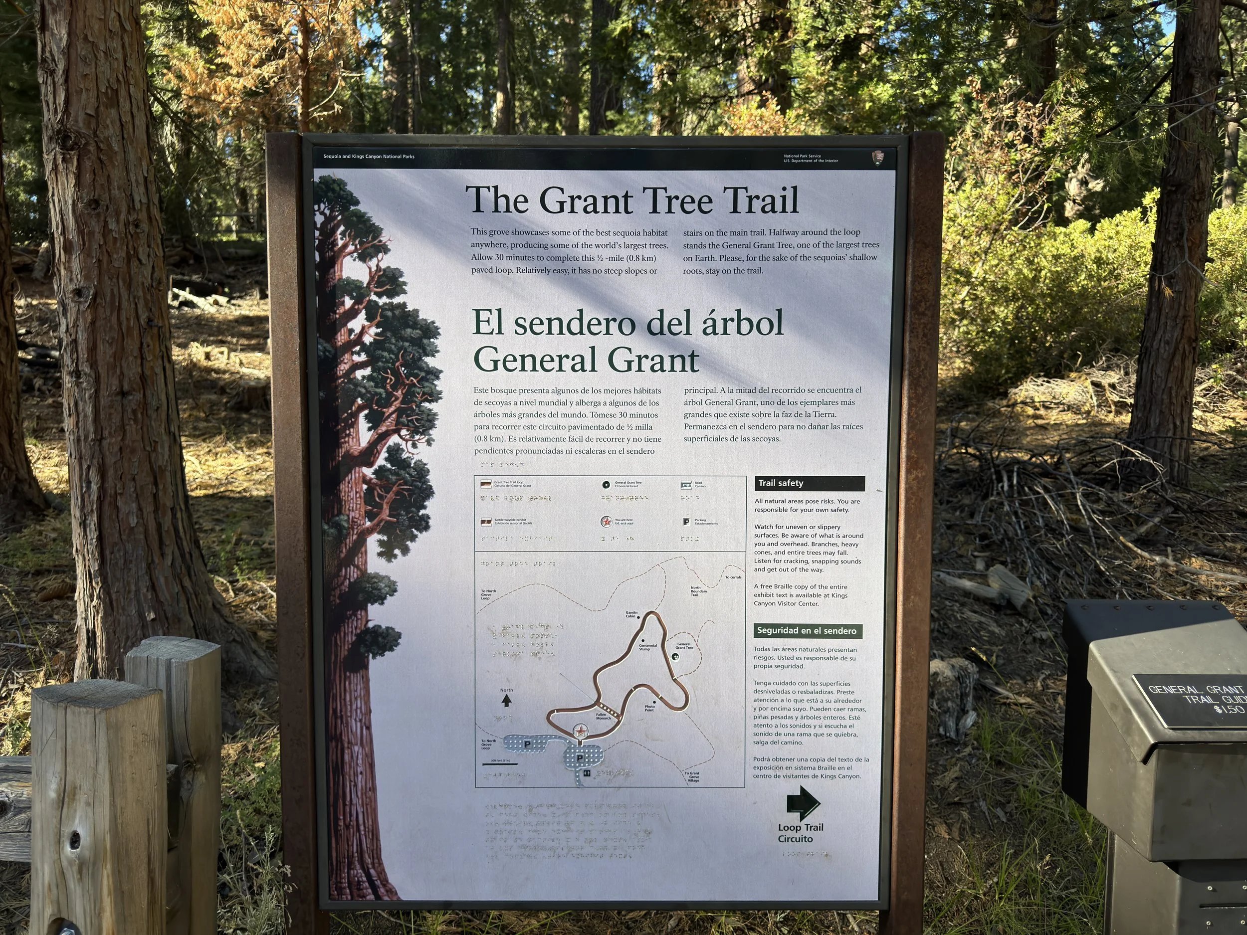 Hiking the General Grant Tree Trail in Kings Canyon National Park ...