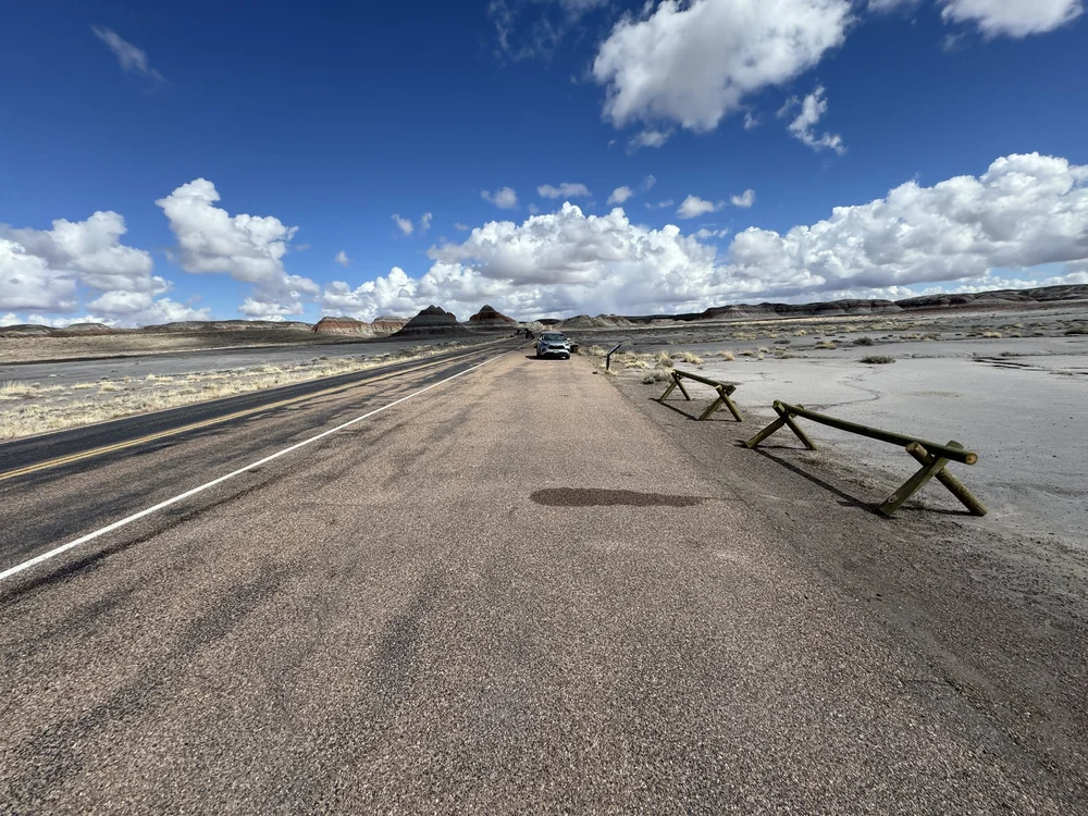 Hiking the Historic Blue Forest Trail in Petrified Forest National Park ...