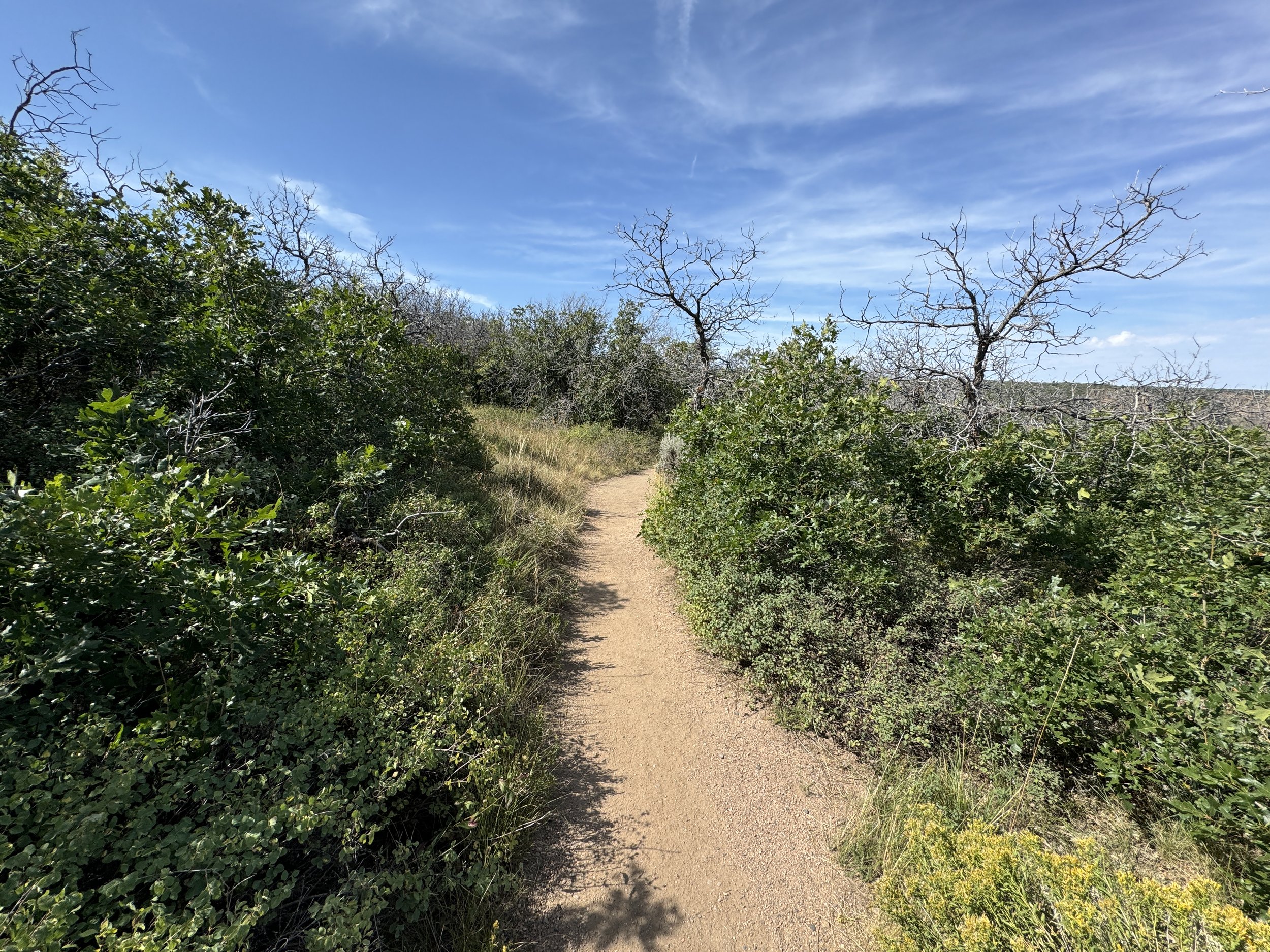 Hiking the Oak Flat Loop Trail in Black Canyon of the Gunnison National ...
