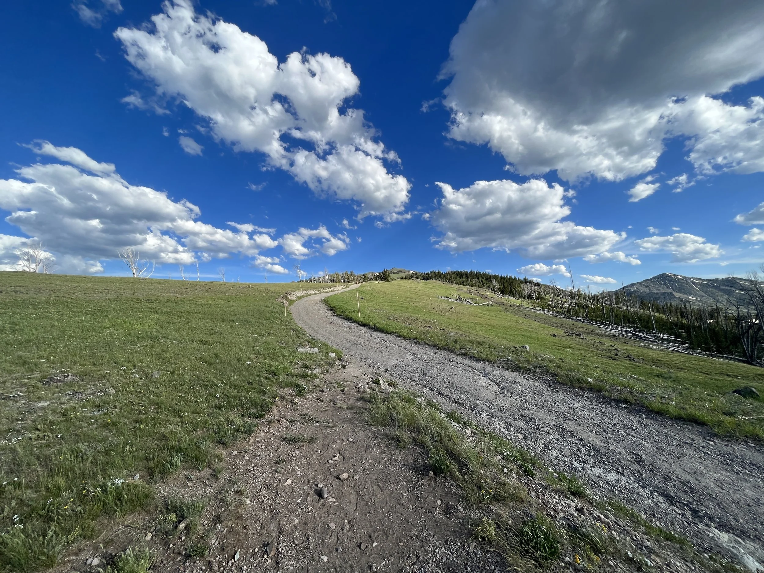 Hiking Mt. Washburn via Chittenden Road in Yellowstone National Park ...