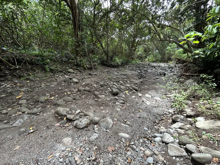 Hiking the Castle Trail on Oʻahu, Hawaiʻi — noahawaii