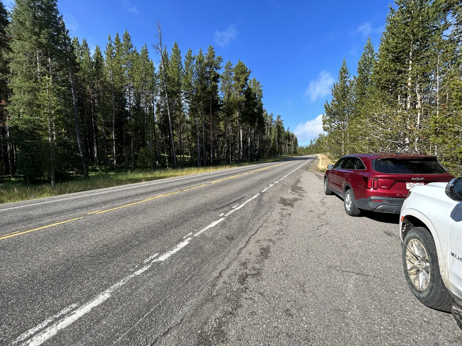 Hiking the Elephant Back Mountain Trail in Yellowstone National Park ...
