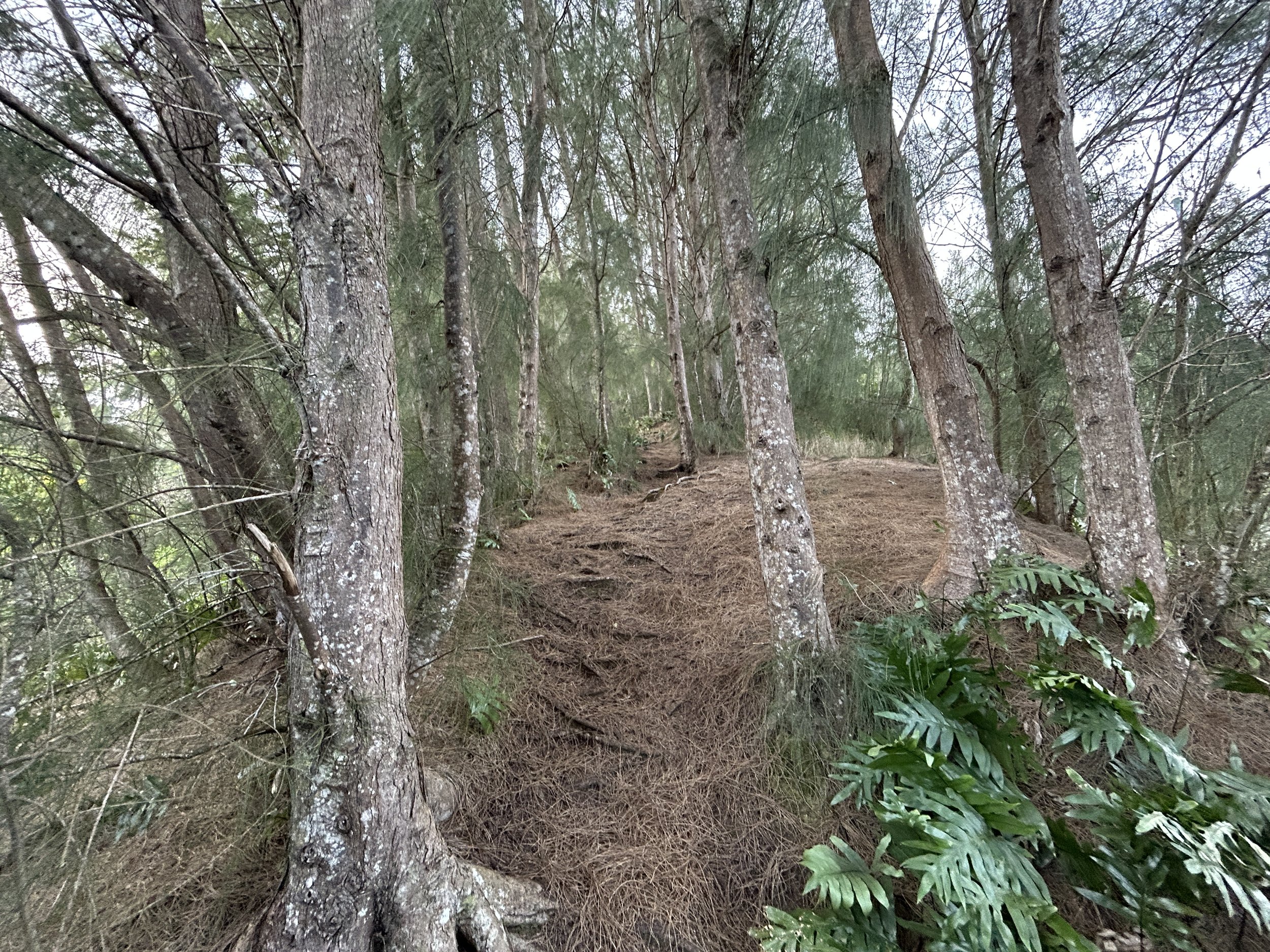 Hiking the Pyramid Rock Loop Trail on Oʻahu — noahawaii