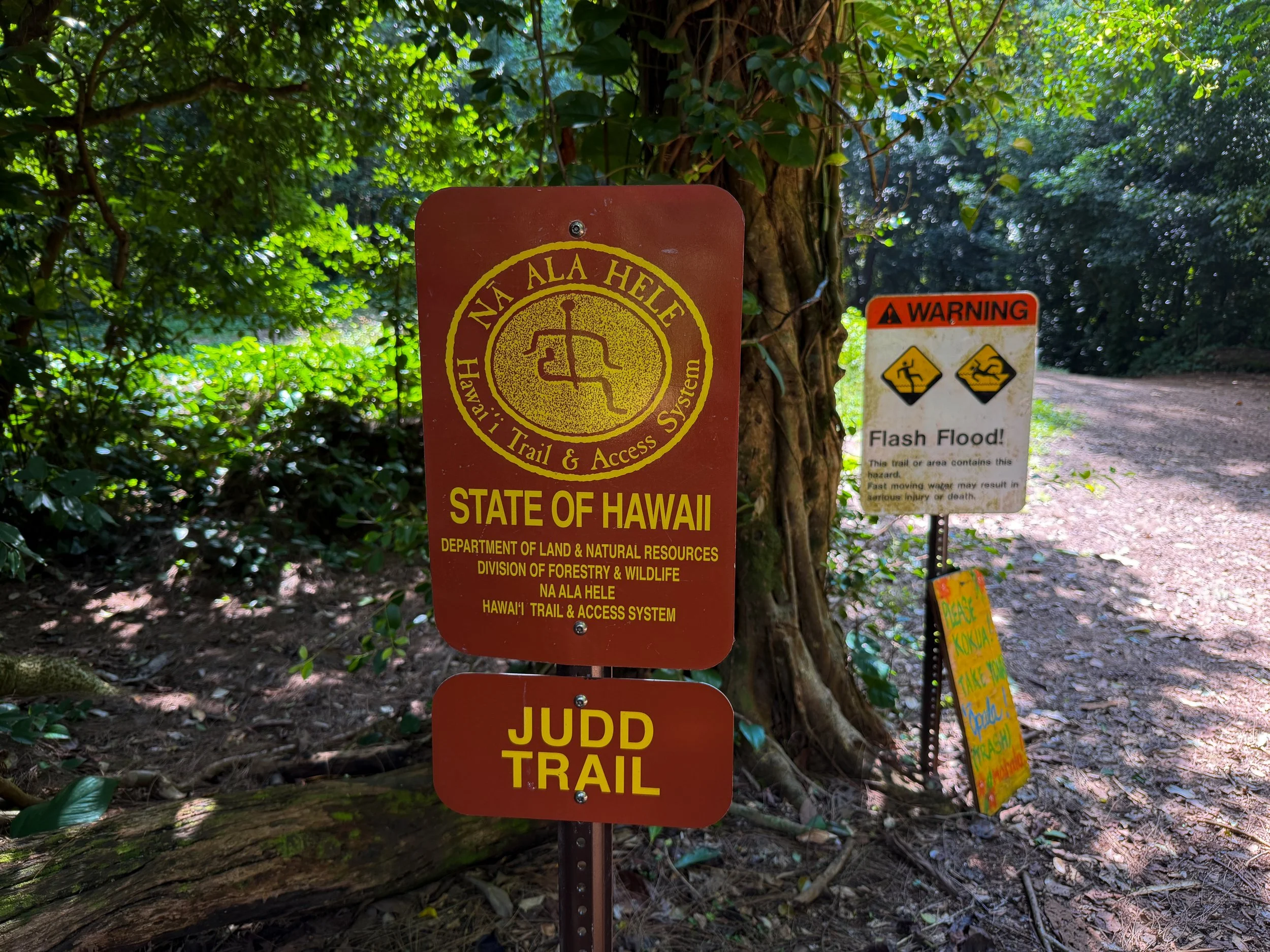 Hiking the Judd Trail & Jackass Ginger Pool on Oʻahu, Hawaiʻi — noahawaii