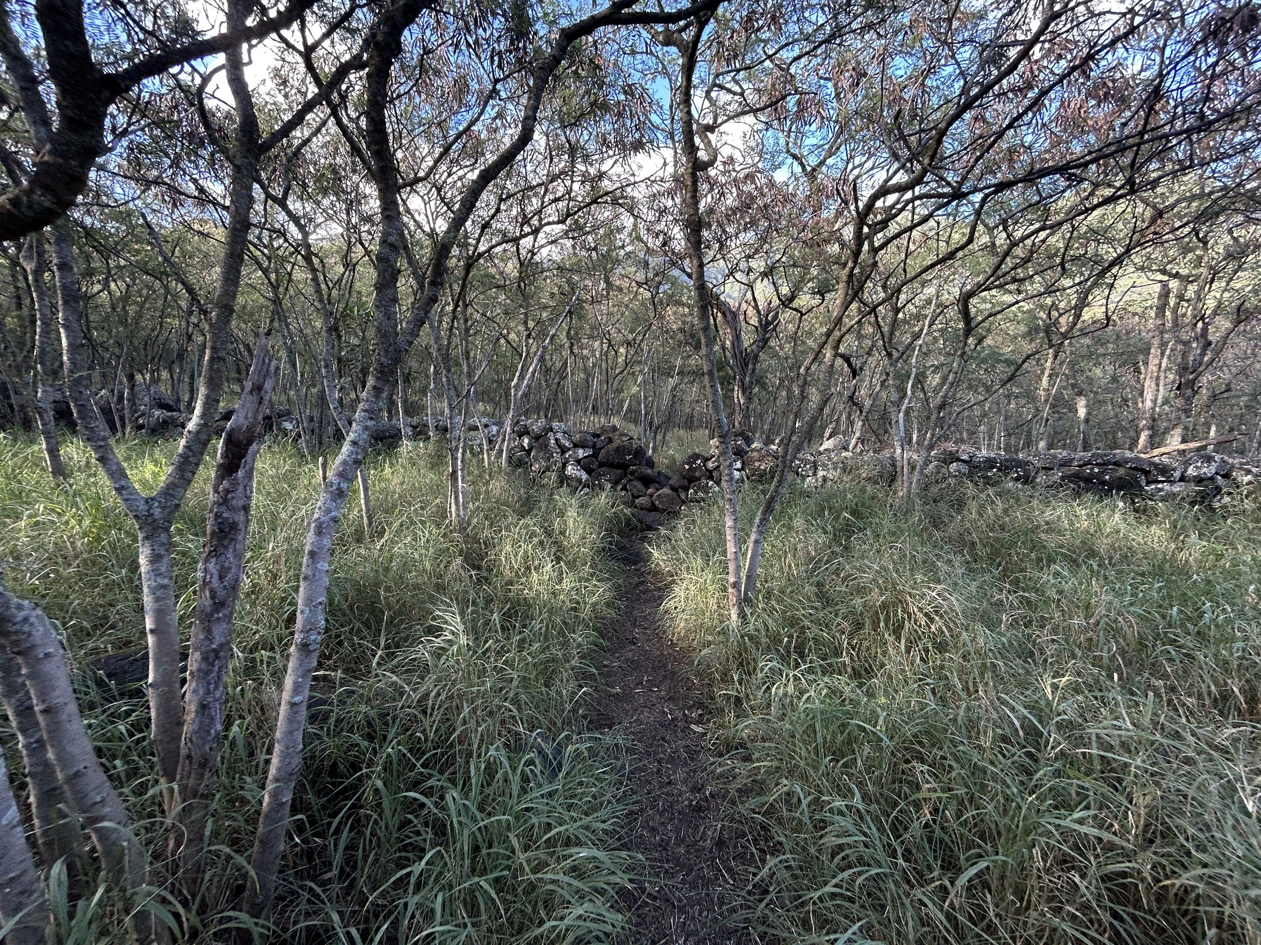 Hiking the Lualualei Lookout Trail on Oʻahu, Hawaiʻi — noahawaii