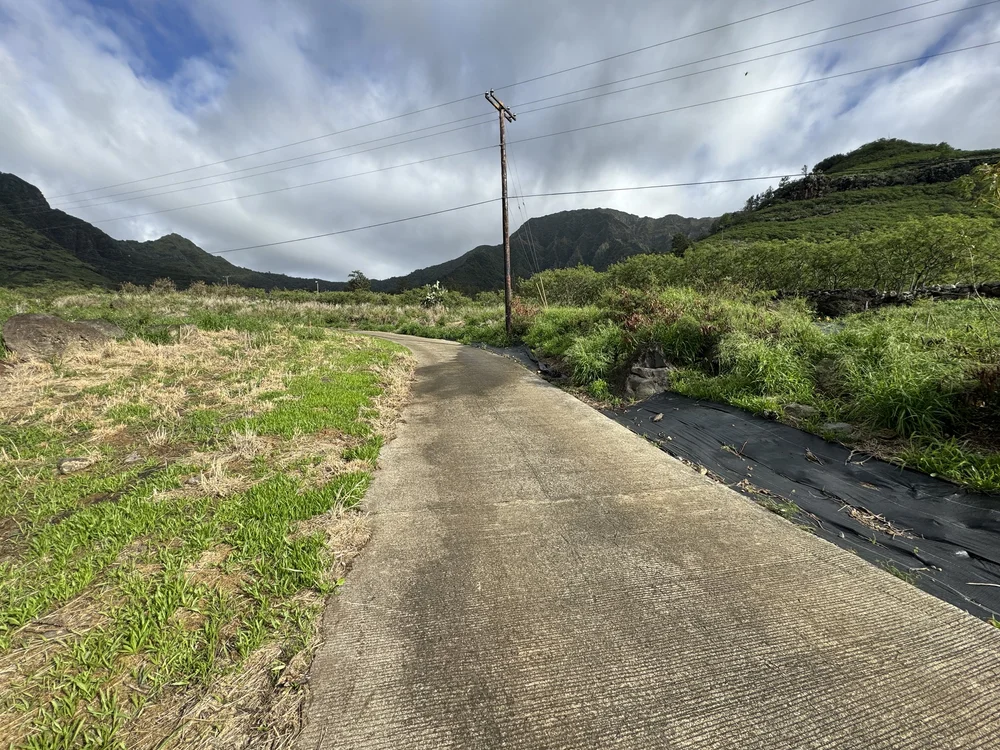 Hiking Mt. Kaʻala: The Tallest Peak on Oʻahu, Hawaiʻi — noahawaii