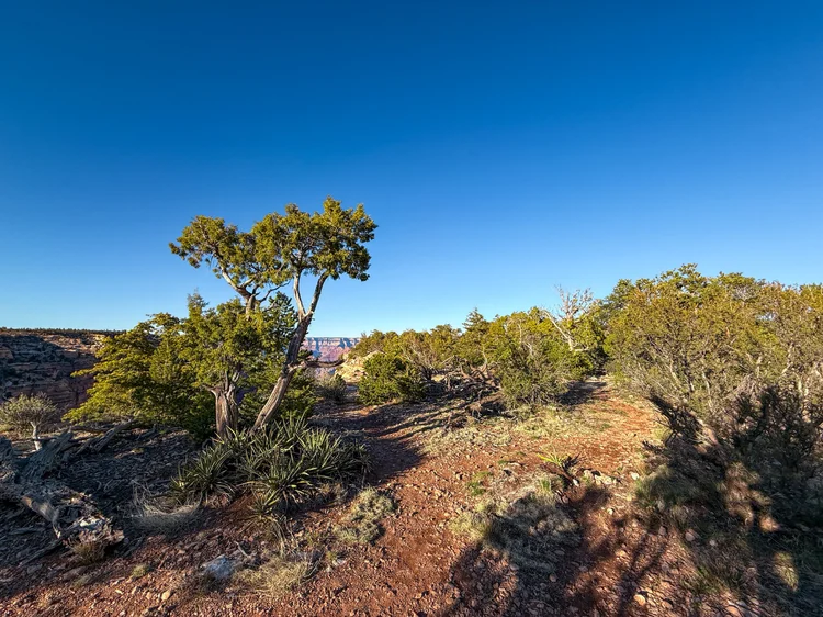 Hiking the Duck on a Rock Trail in Grand Canyon National Park — noahawaii