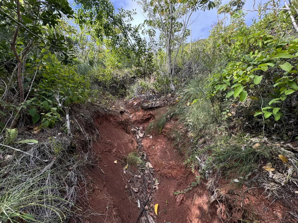 Hiking the Kaipapaʻu Pillbox Trail on the North Shore of Oʻahu, Hawaiʻi ...