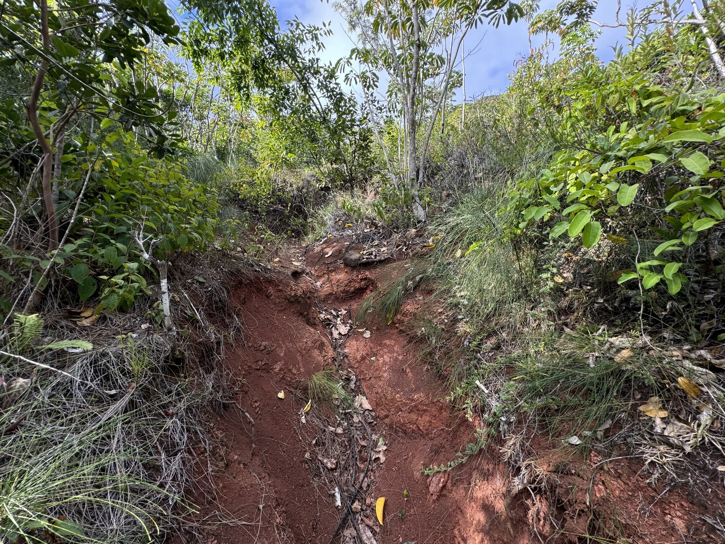 Hiking the Kaipapaʻu Pillbox Trail on the North Shore of Oʻahu, Hawaiʻi ...