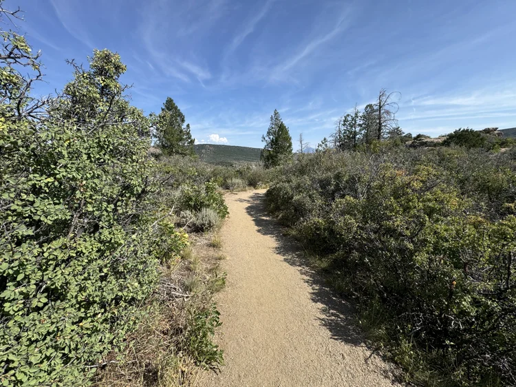 Hiking the Rock Point Trail in Black Canyon of the Gunnison National ...