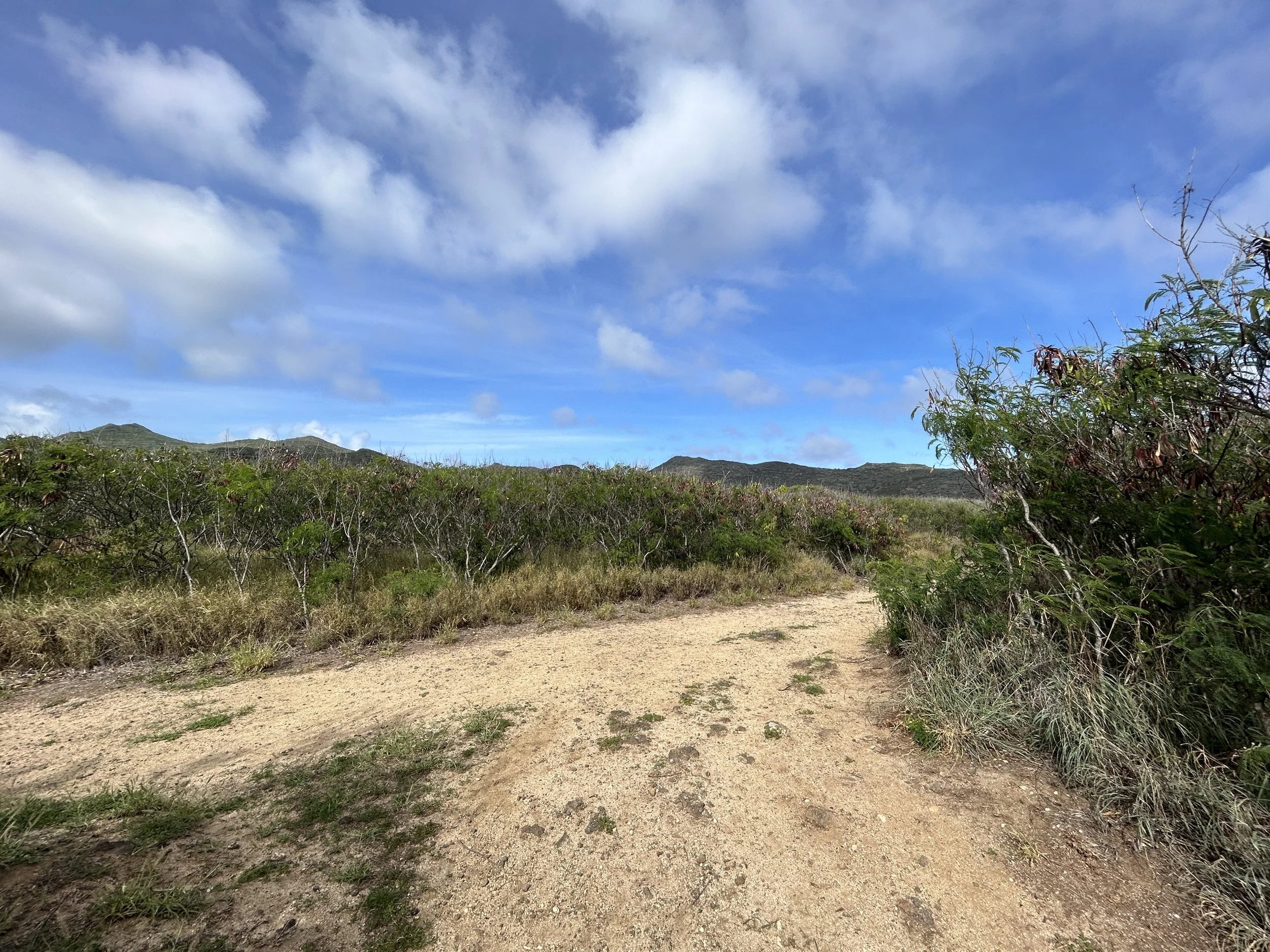 Hiking the Kaiwi Shoreline Trail on Oʻahu — noahawaii