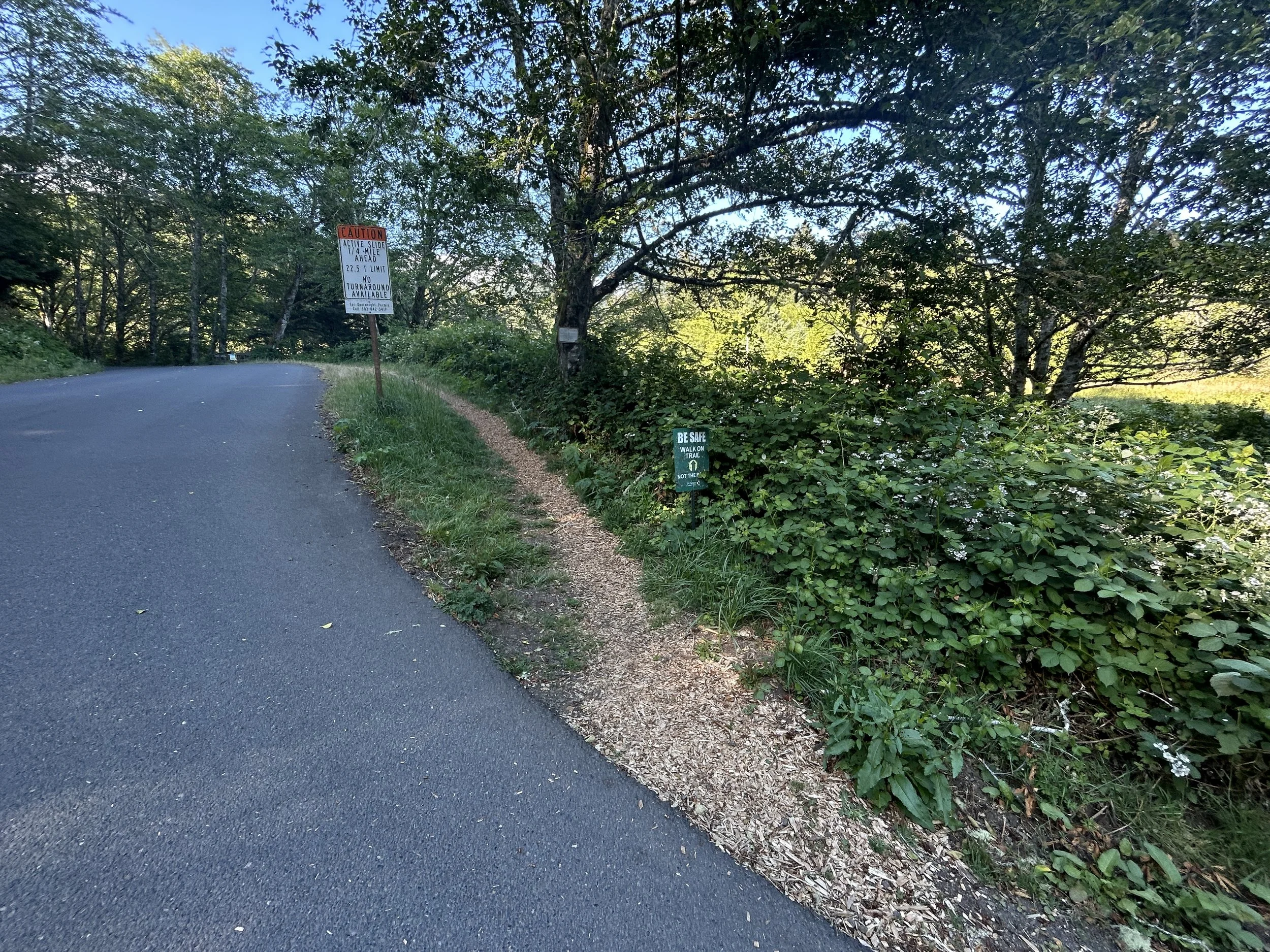 Hiking the Lower Cascade Head Trail on the Oregon Coast — noahawaii