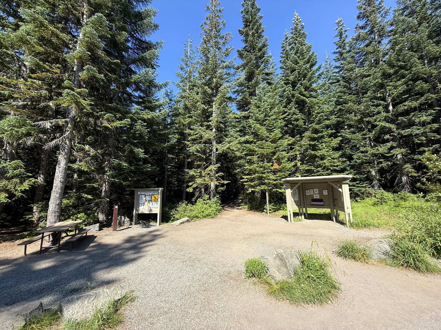 Climbing Mount Saint Helens via the Ptarmigan Trail & Monitor Ridge in ...