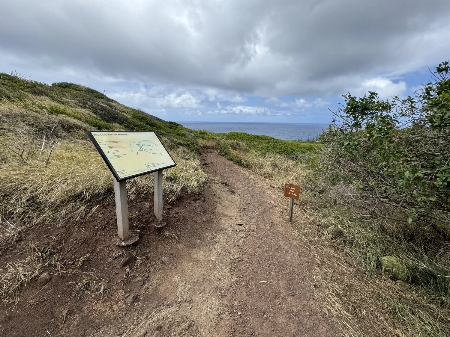 Hiking the ʻŌhai Loop Trail on Maui, Hawaiʻi — noahawaii