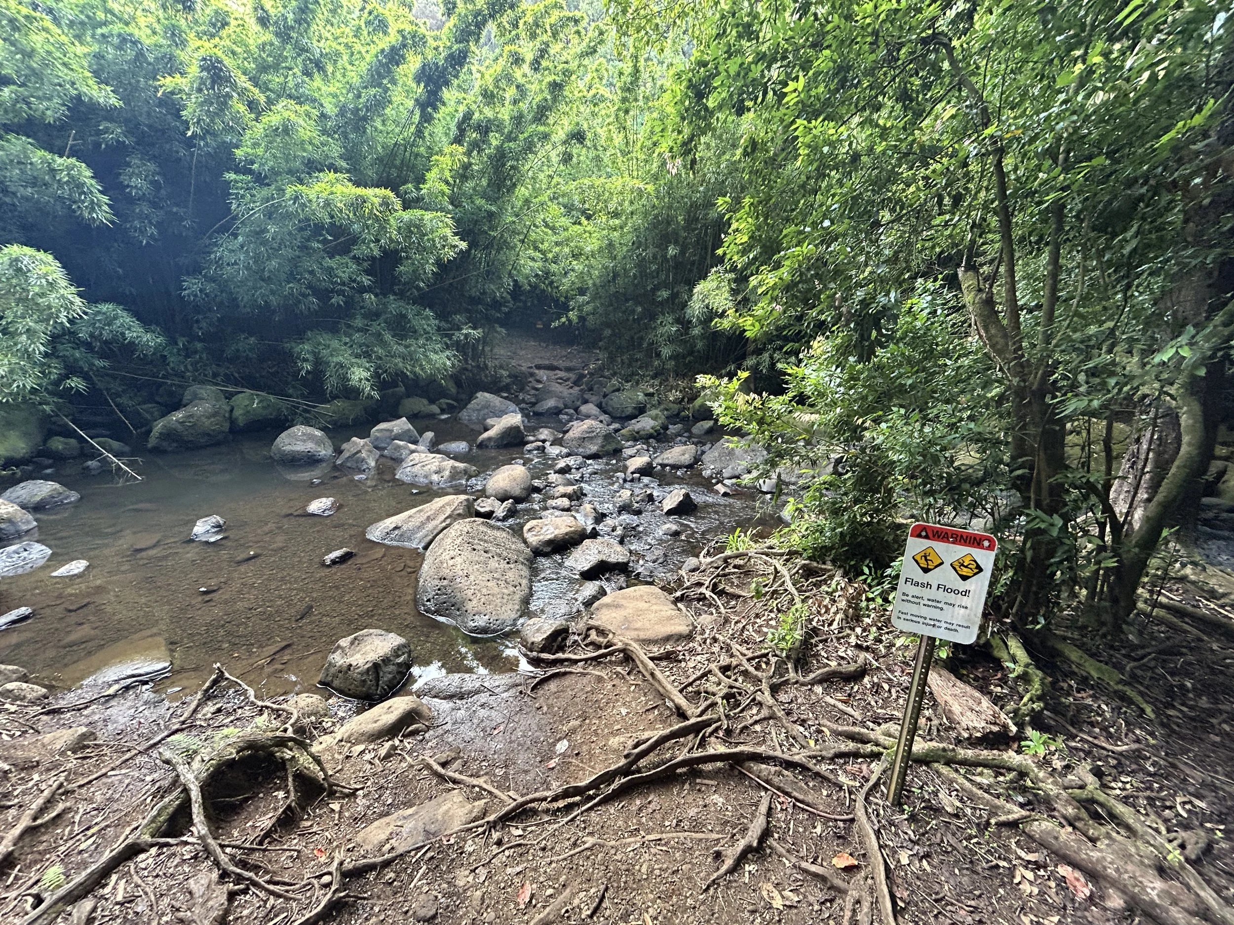 Hiking the Nuʻuanu Trail on Oʻahu — noahawaii