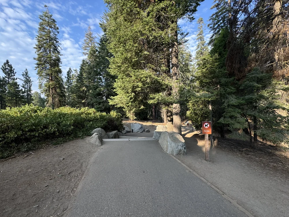 Hiking the Congress Trail in Sequoia National Park — noahawaii