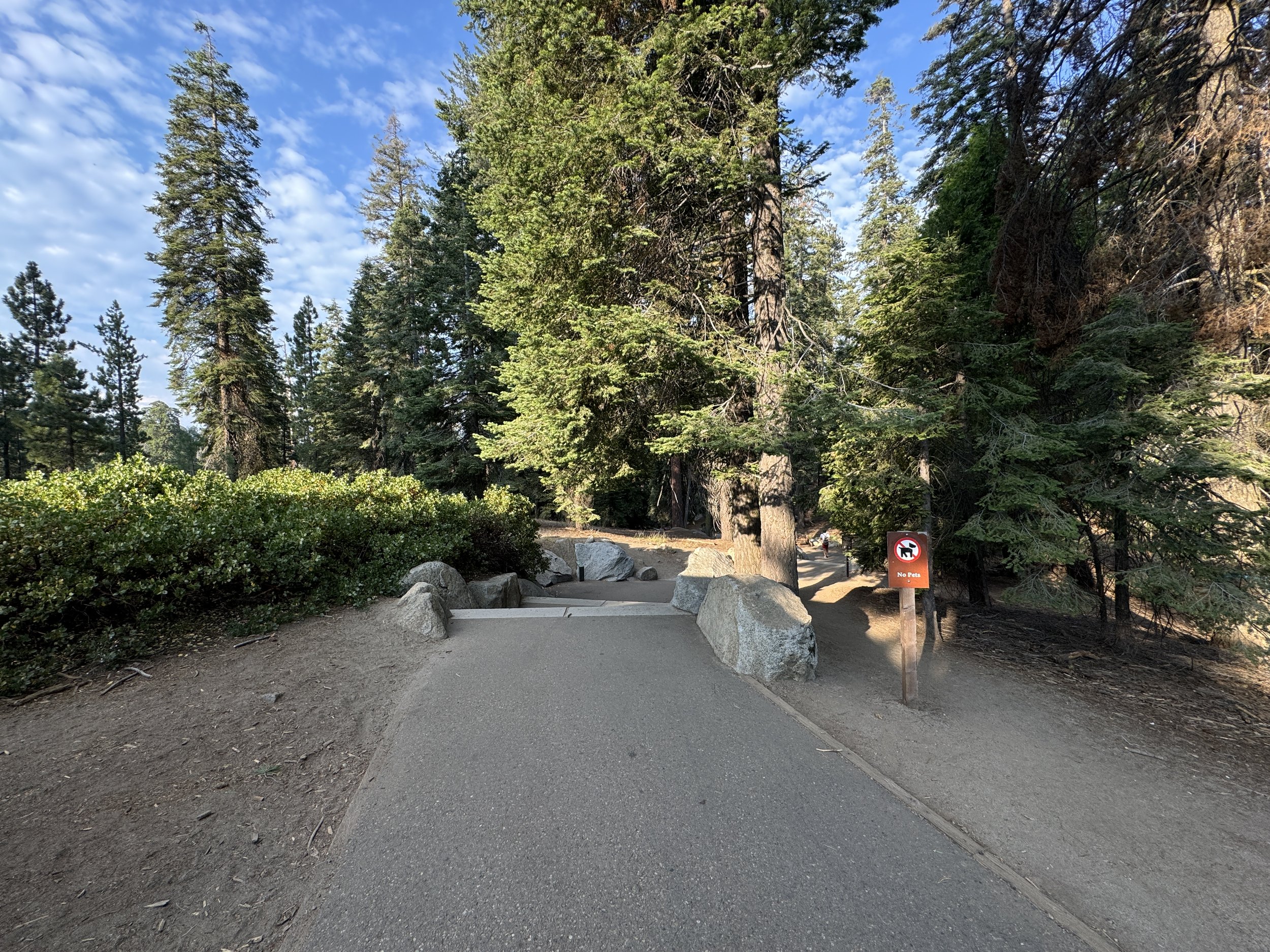 Hiking the Congress Trail in Sequoia National Park — noahawaii