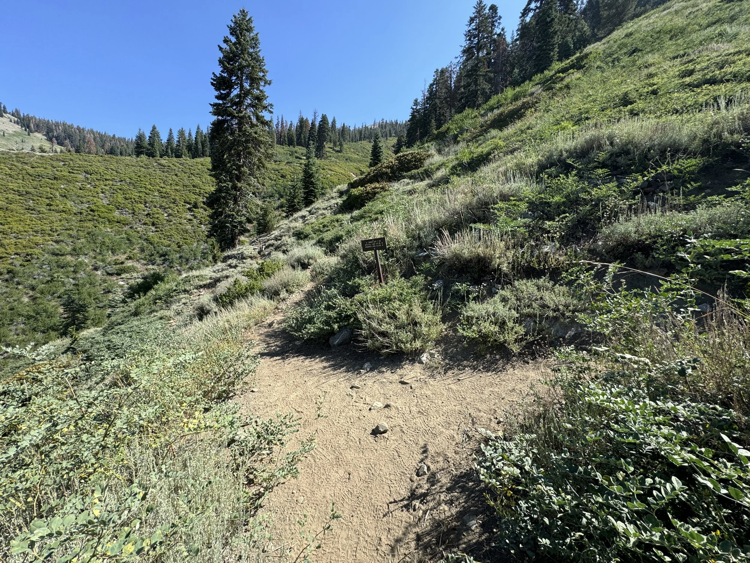 Hiking the Mineral King Loop Trail in Sequoia National Park — noahawaii