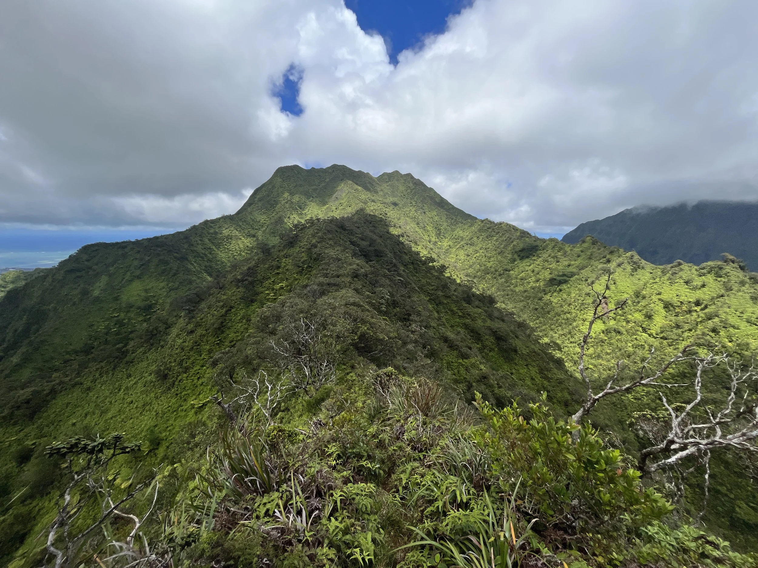 Hiking the Kapālama Ridge Trail to Puʻu Lanihuli on Oʻahu — noahawaii