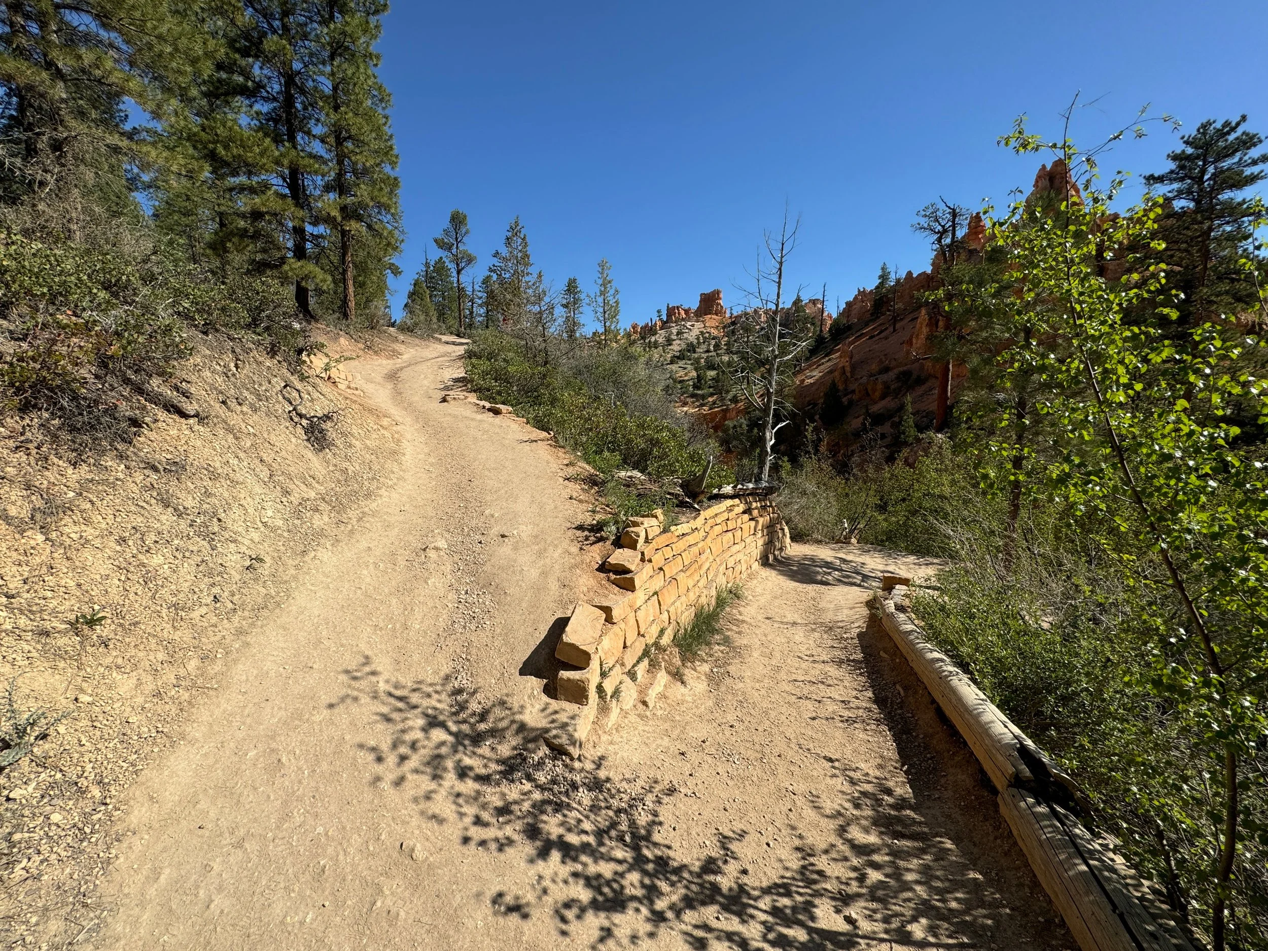 Hiking the Mossy Cave Trail in Bryce Canyon National Park — noahawaii