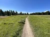Hiking the Storm Point Trail in Yellowstone National Park — noahawaii