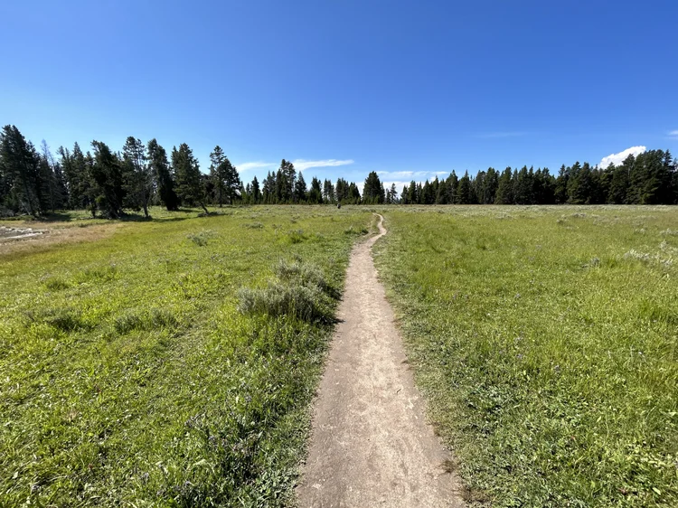 Hiking the Storm Point Trail in Yellowstone National Park — noahawaii