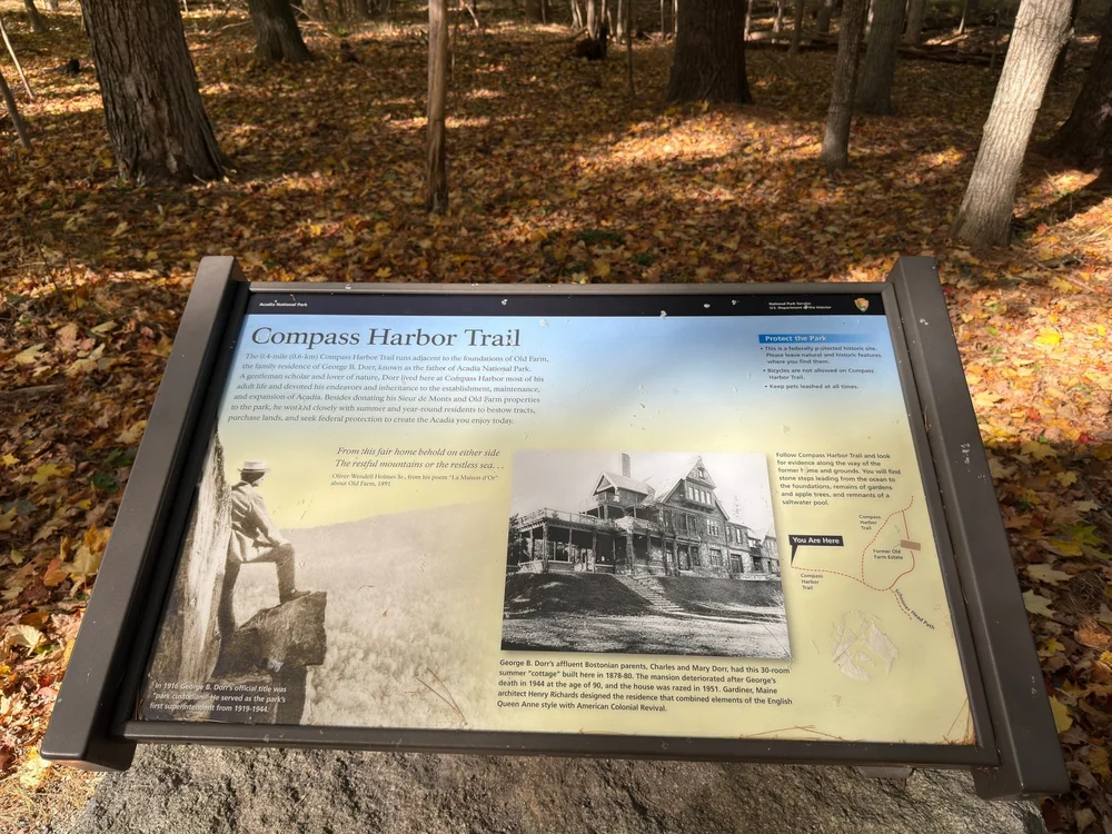 Hiking the Compass Harbor Trail in Acadia National Park — noahawaii