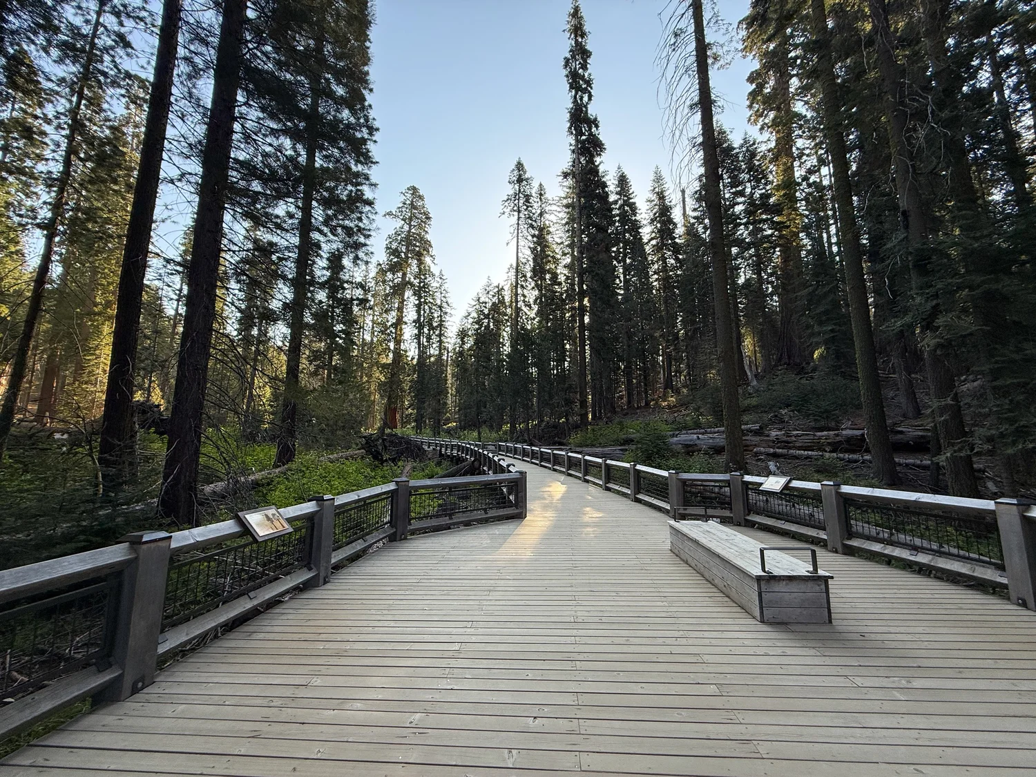 Hiking the Grizzly Giant Loop Trail in Yosemite National Park — noahawaii