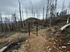 Hiking the Riggs Spring Loop Trail in Bryce Canyon National Park ...