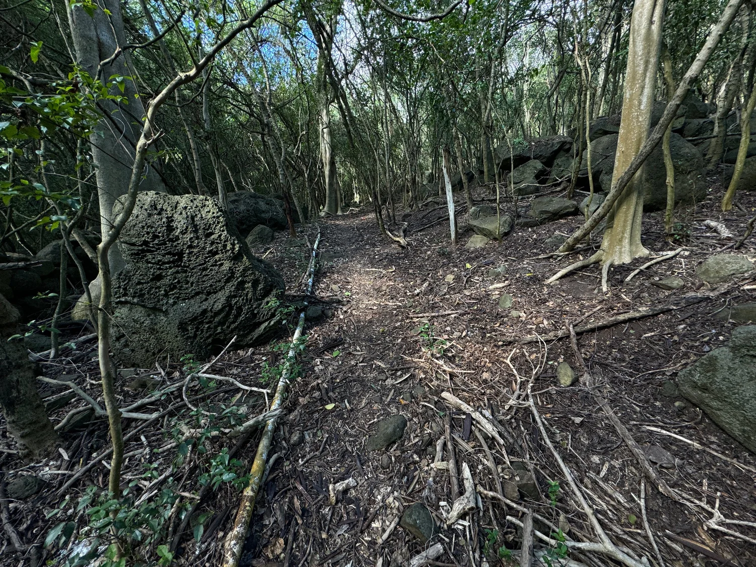 Hiking the Hālawa Valley Trail to Moaʻula & Hīpuapua Falls on Molokai ...