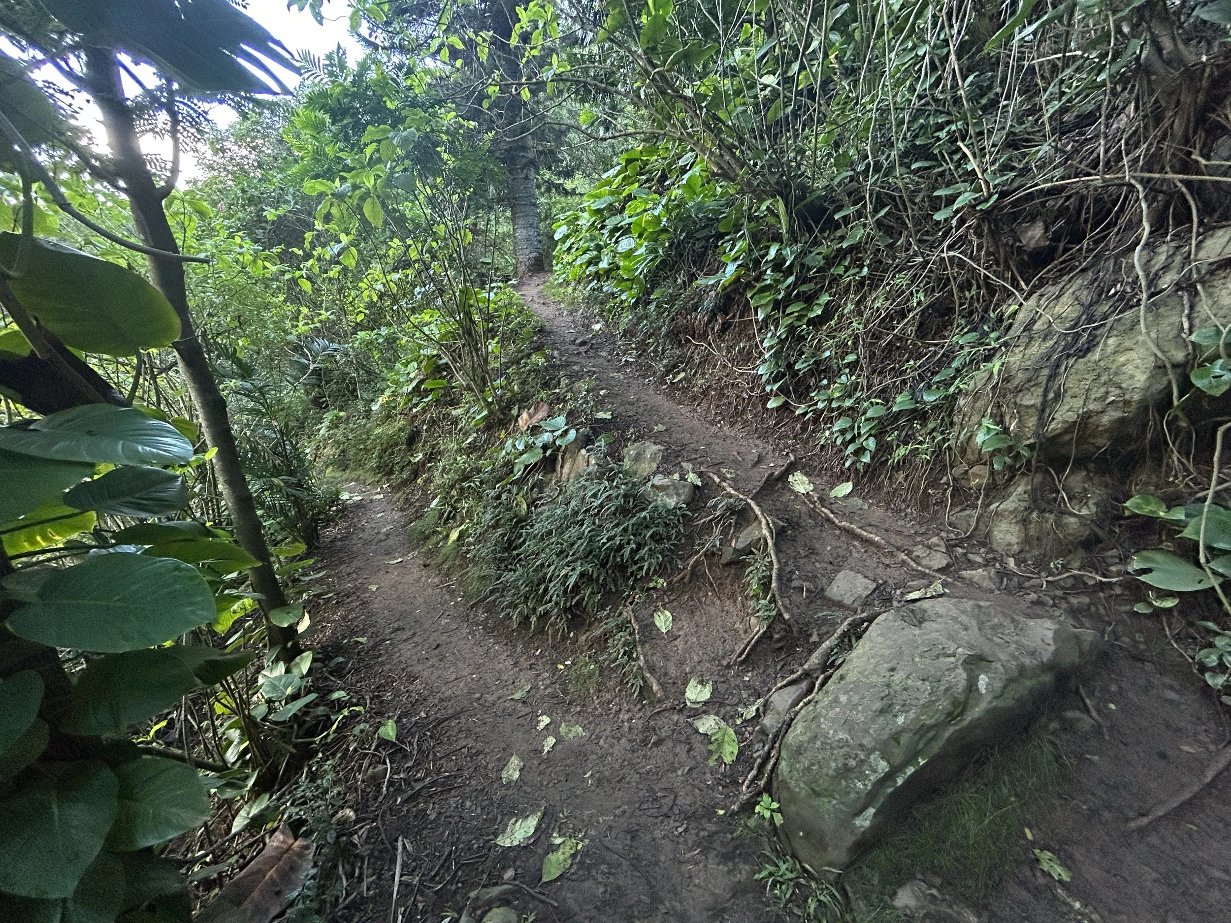 Hiking the Oneʻawa Hills Trail (Kapaʻa Quarry) via the Friendship ...