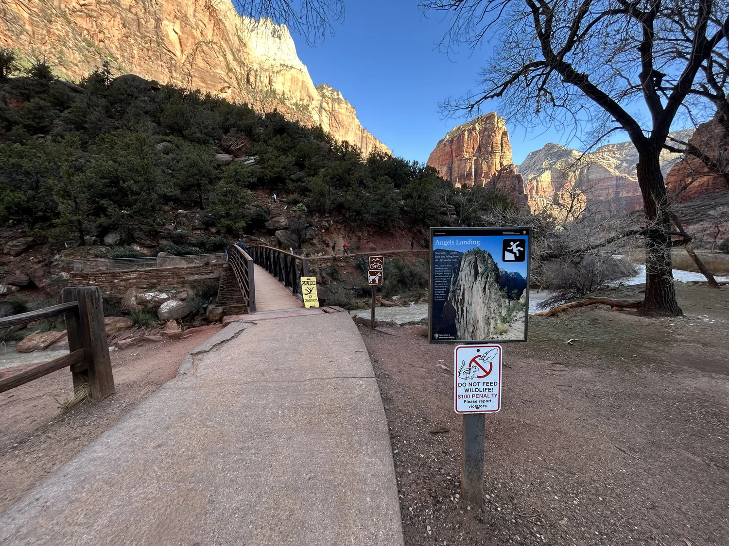 Hiking the Angels Landing Trail in Zion National Park — noahawaii