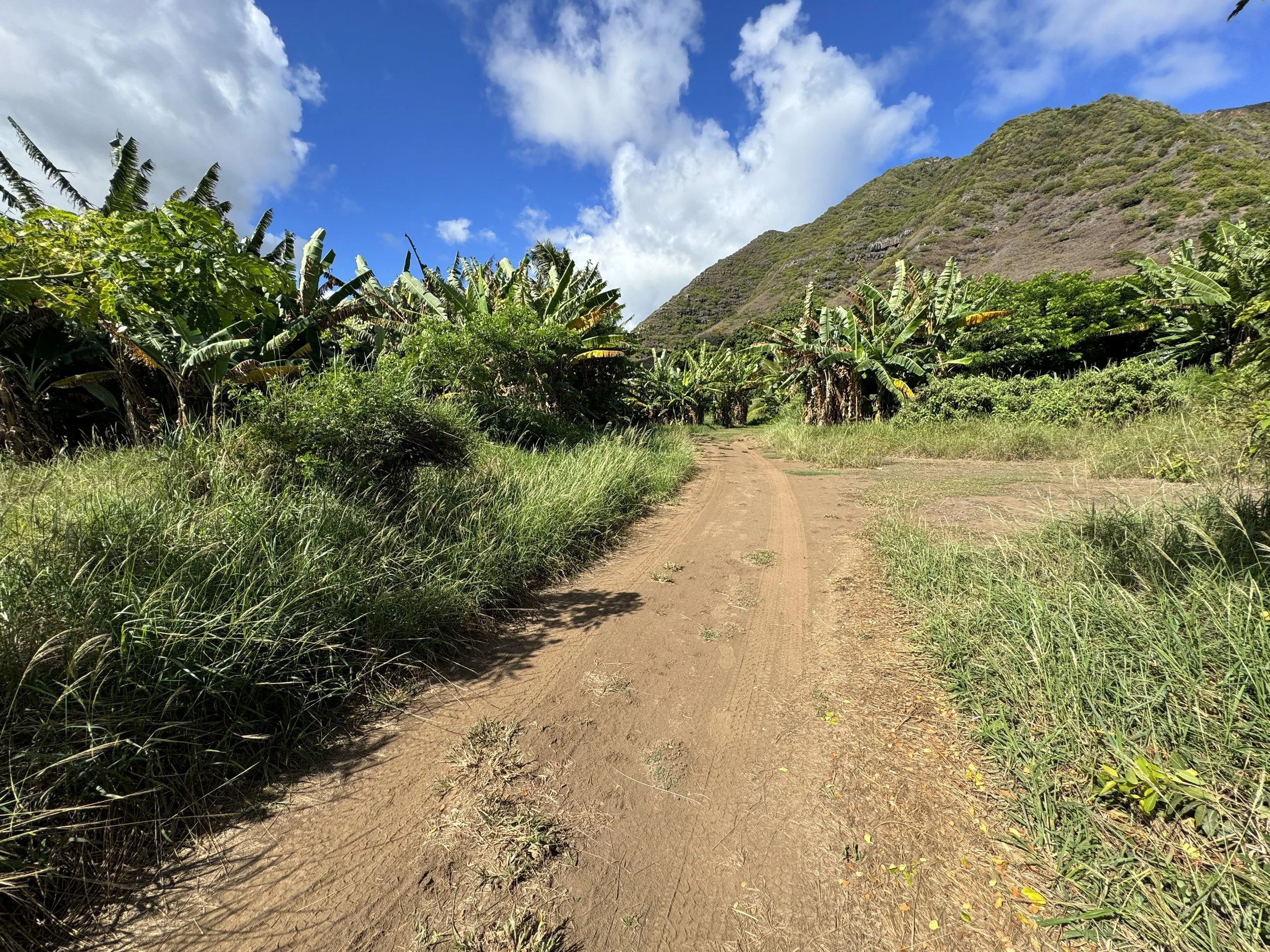 Hiking the Hālawa Valley Trail to Moaʻula & Hīpuapua Falls on Molokai ...