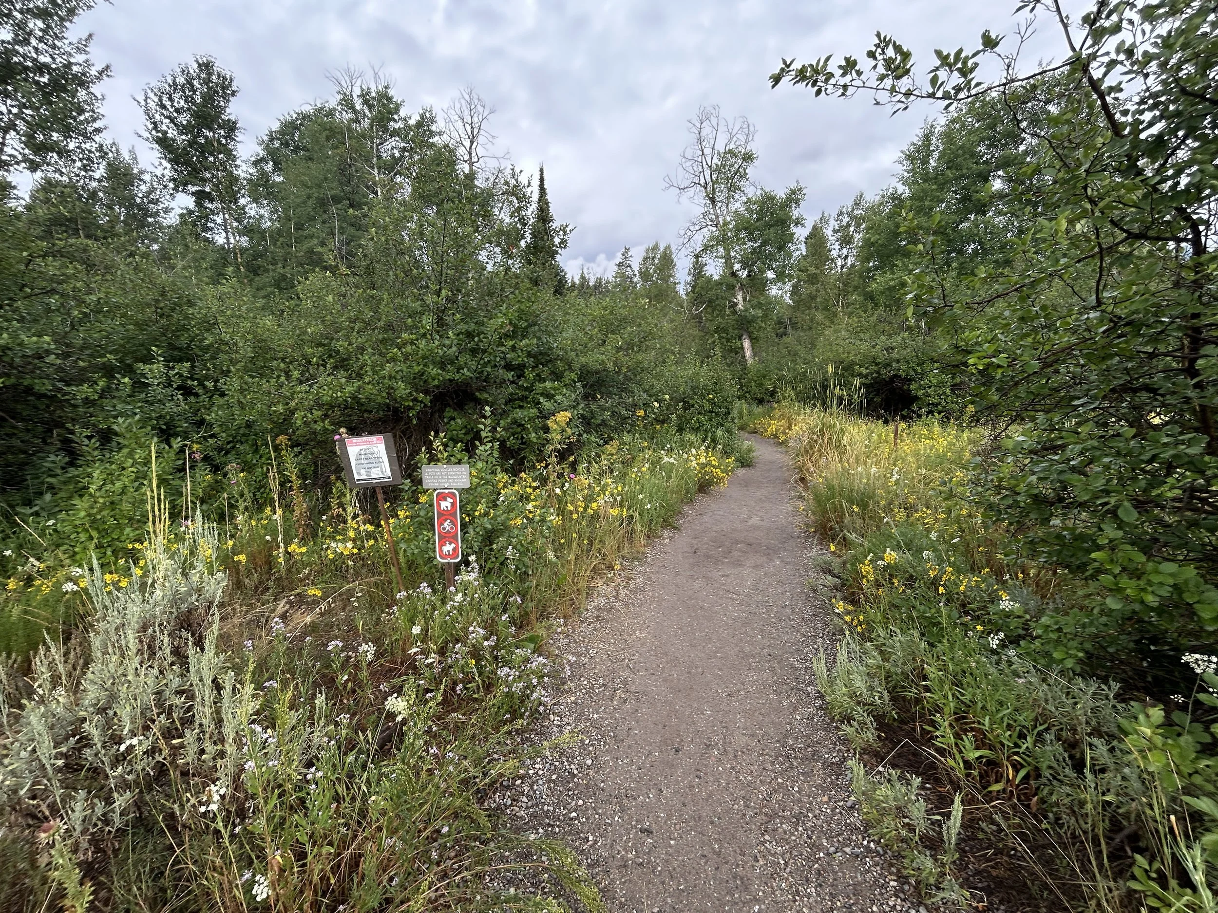 Hiking to the Phelps Lake Jumping Rock in Grand Teton National Park ...