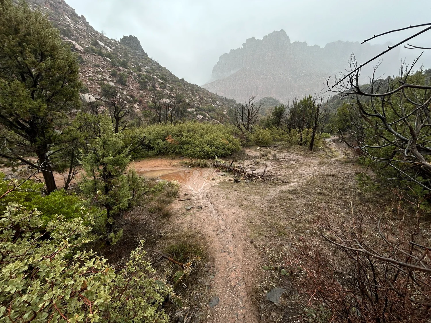 Hiking the Grapevine Trail to Left Fork Falls in Zion National Park ...